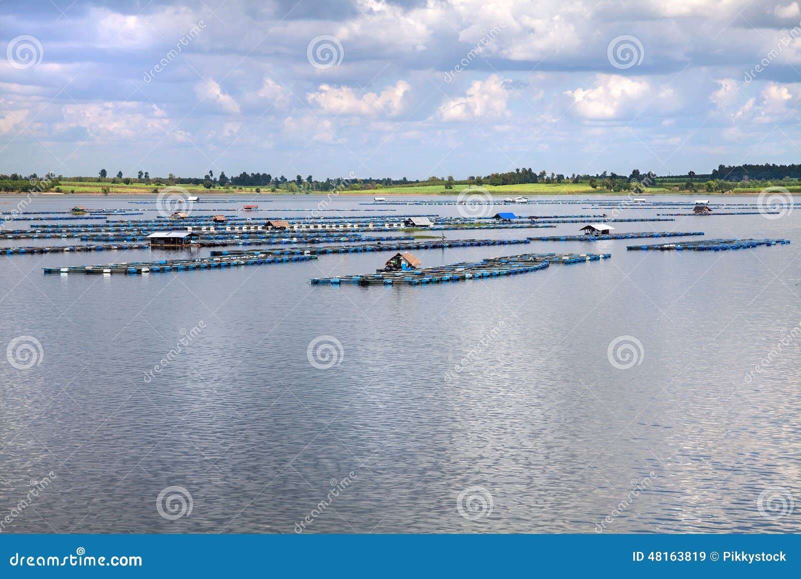 Fish farming at the dam stock image. Image of food, boat - 48163819