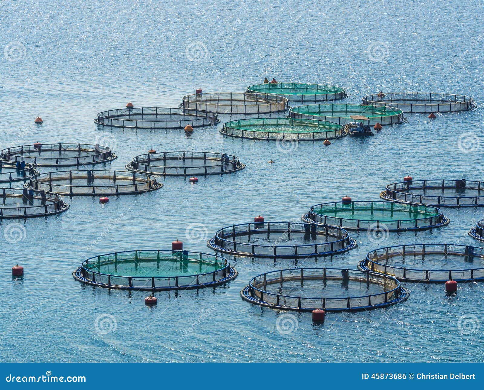 Fish farming stock photo. Image of farm, commercial, greece - 45873686