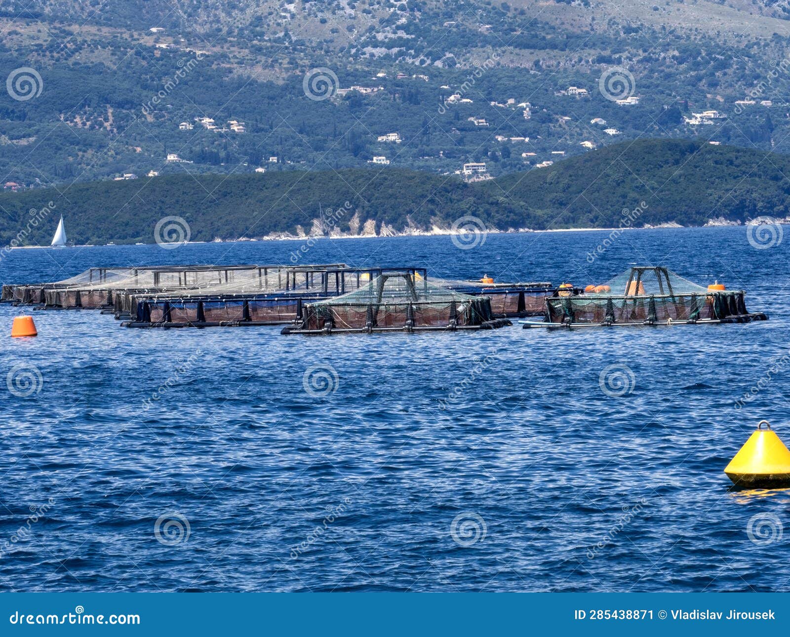 The Fish Farming in the Sea, Albania Stock Image - Image of growth ...