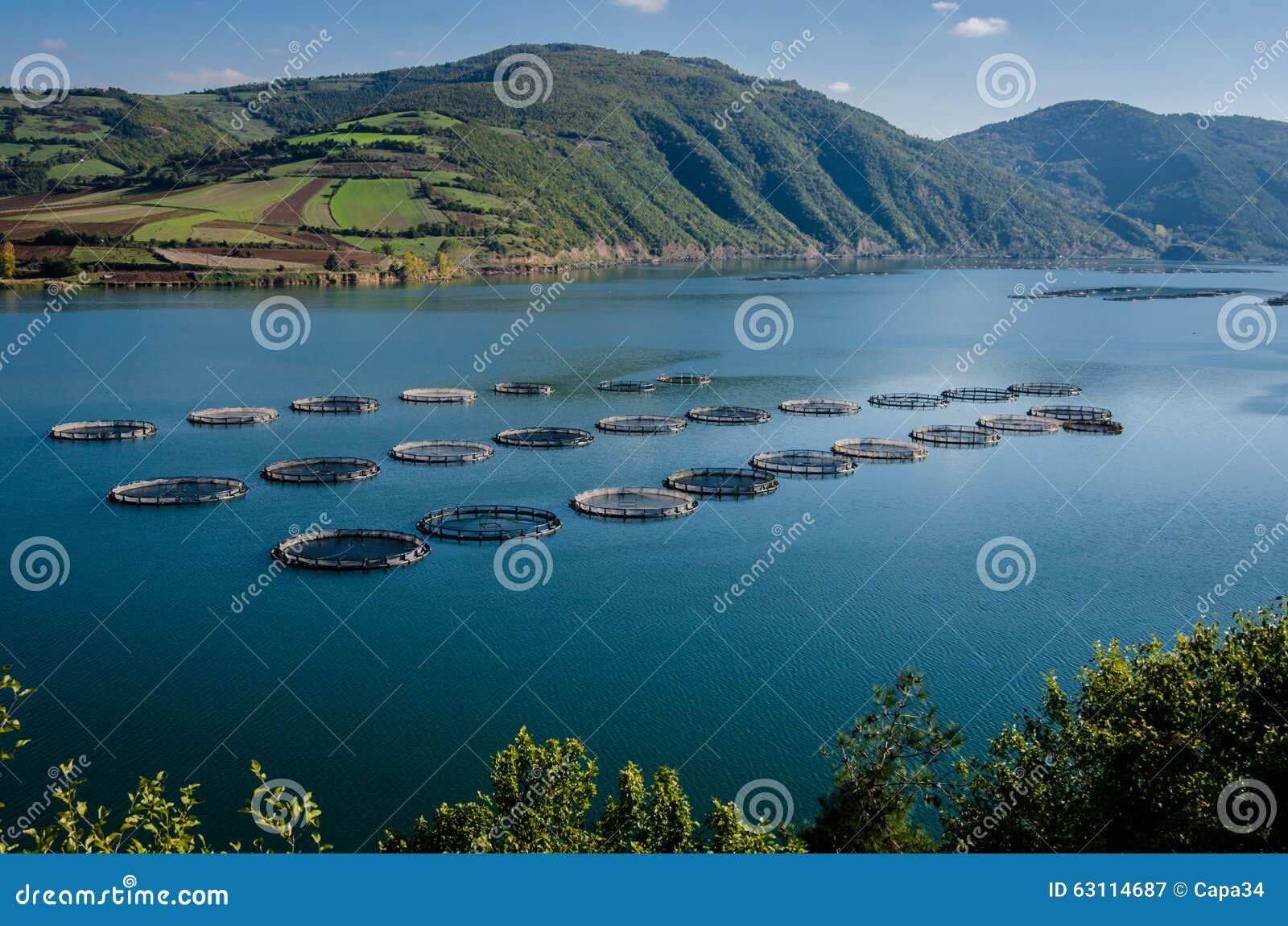 Fish farms stock image. Image of color, business, fishing - 63114687