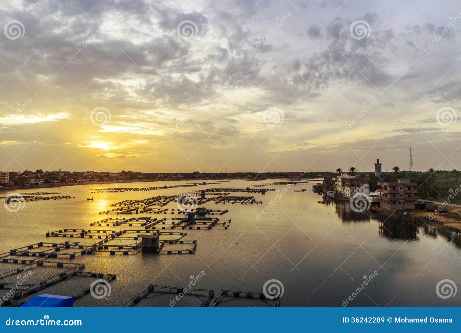 Fish Farms stock image. Image of fishing, aquaculture - 36242289