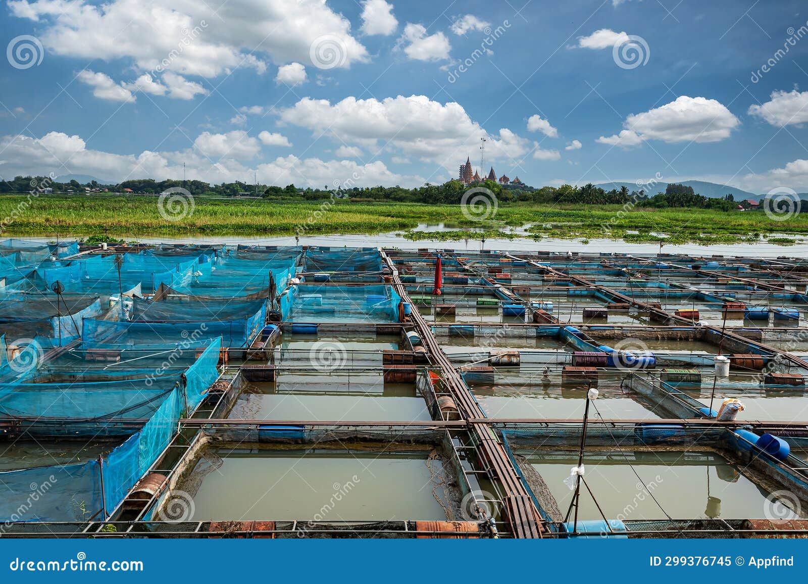 Fish farms in Thailand stock image. Image of fresh, aquaculture - 299376745