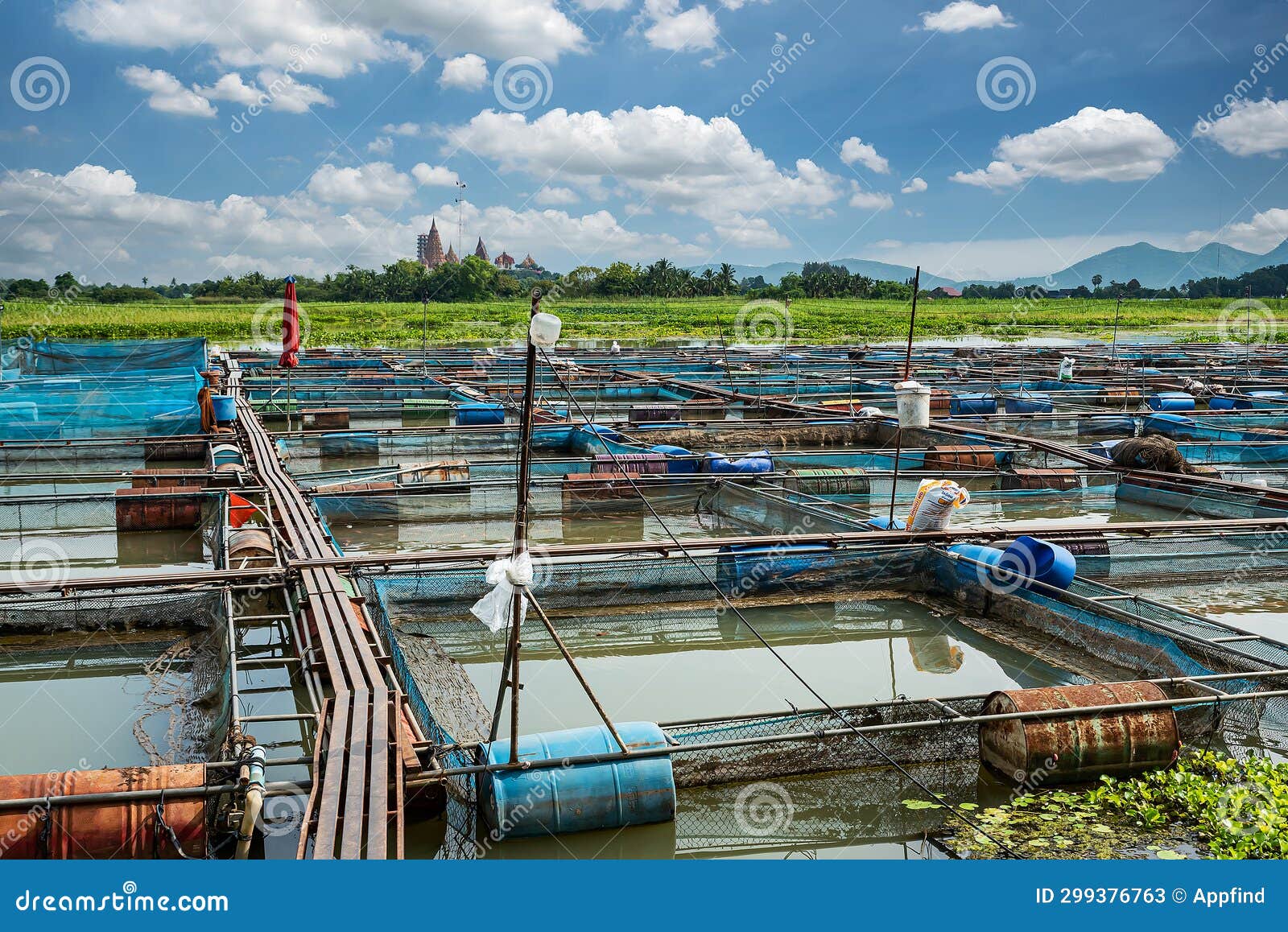 Fish farms in Thailand stock image. Image of lake, sunset - 299376763