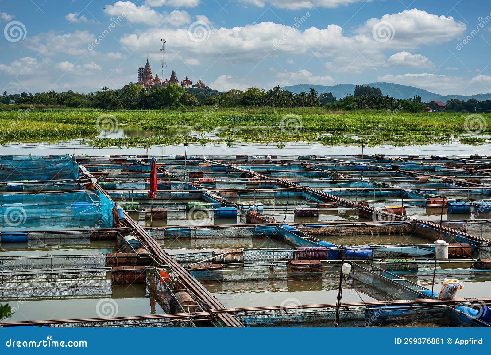 Fish farms in Thailand stock image. Image of outdoor - 299376881