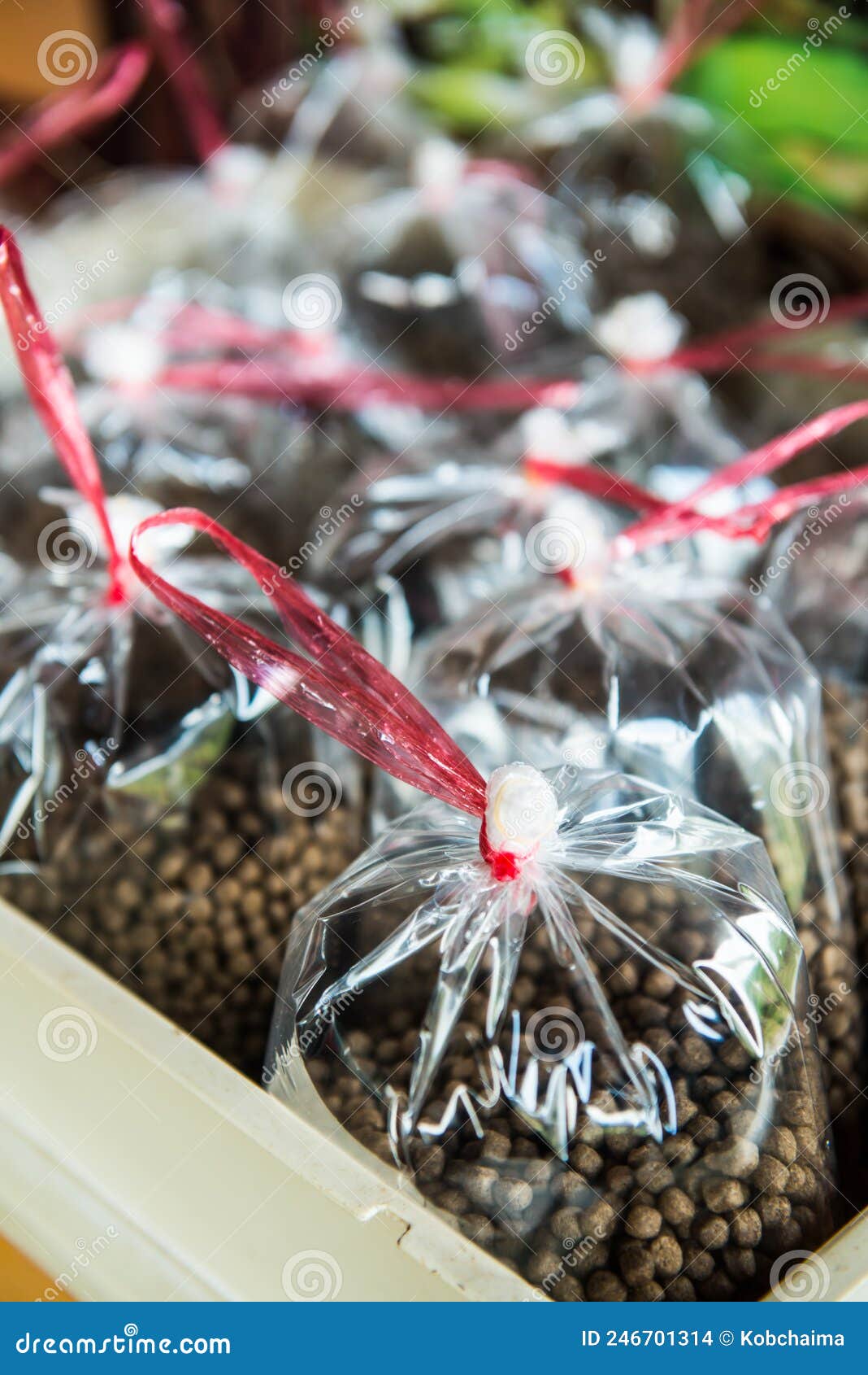 Fish feed in plastic bag stock photo. Image of pack - 246701314