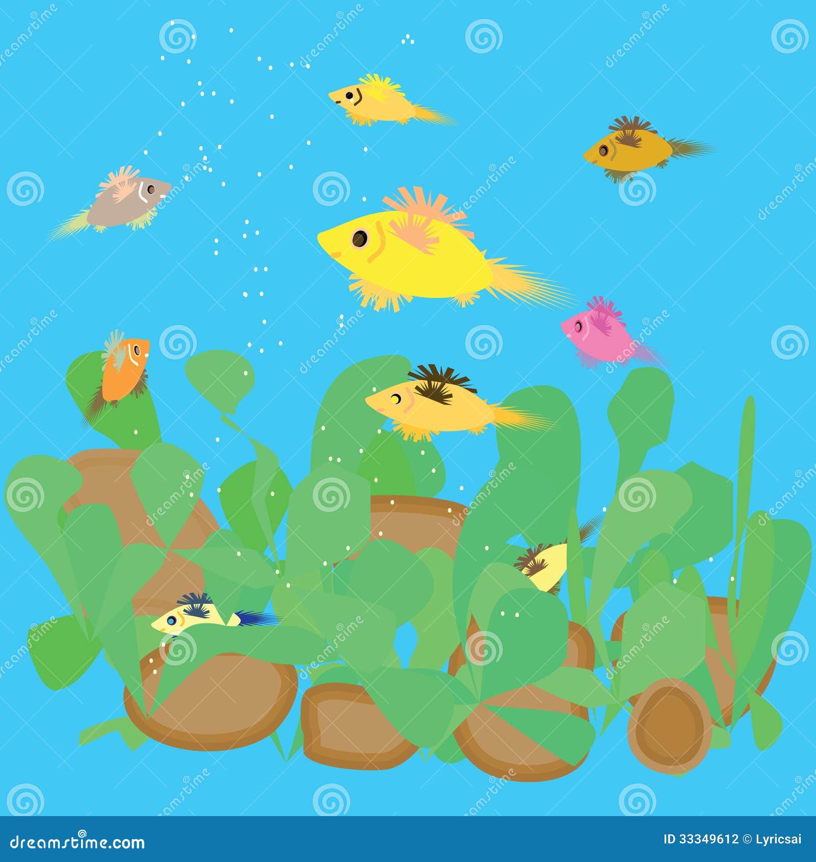 Fish Feeding in the Aquarium Stock Vector - Illustration of star ...