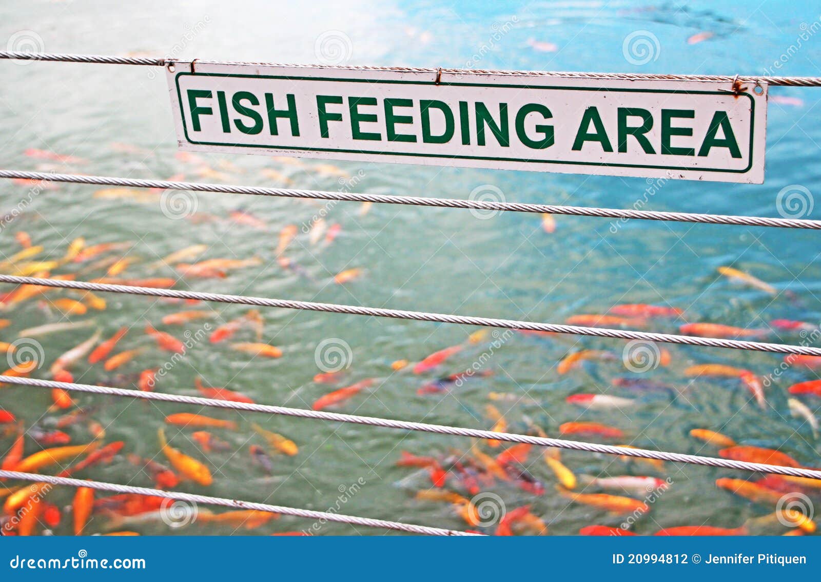 Fish Feeding Sign stock photo. Image of water, river - 20994812