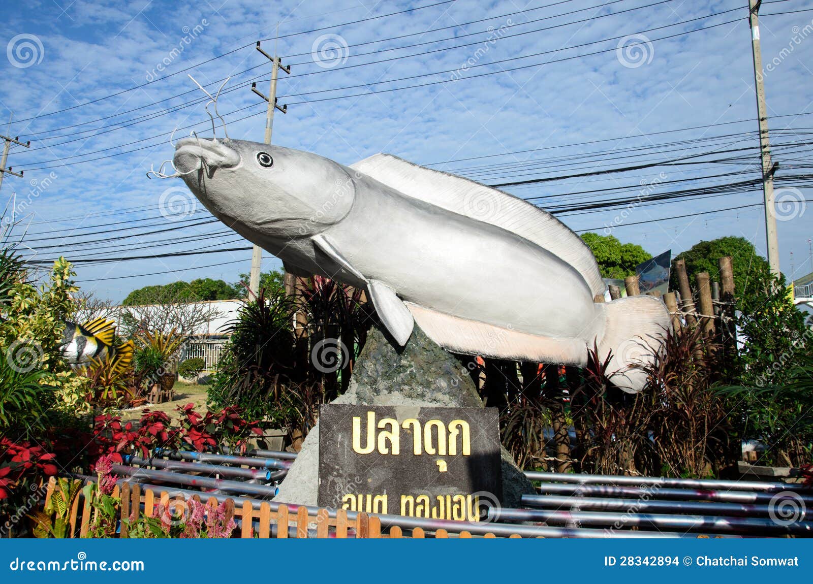 Fish Festival editorial stock image. Image of beauty - 28342894