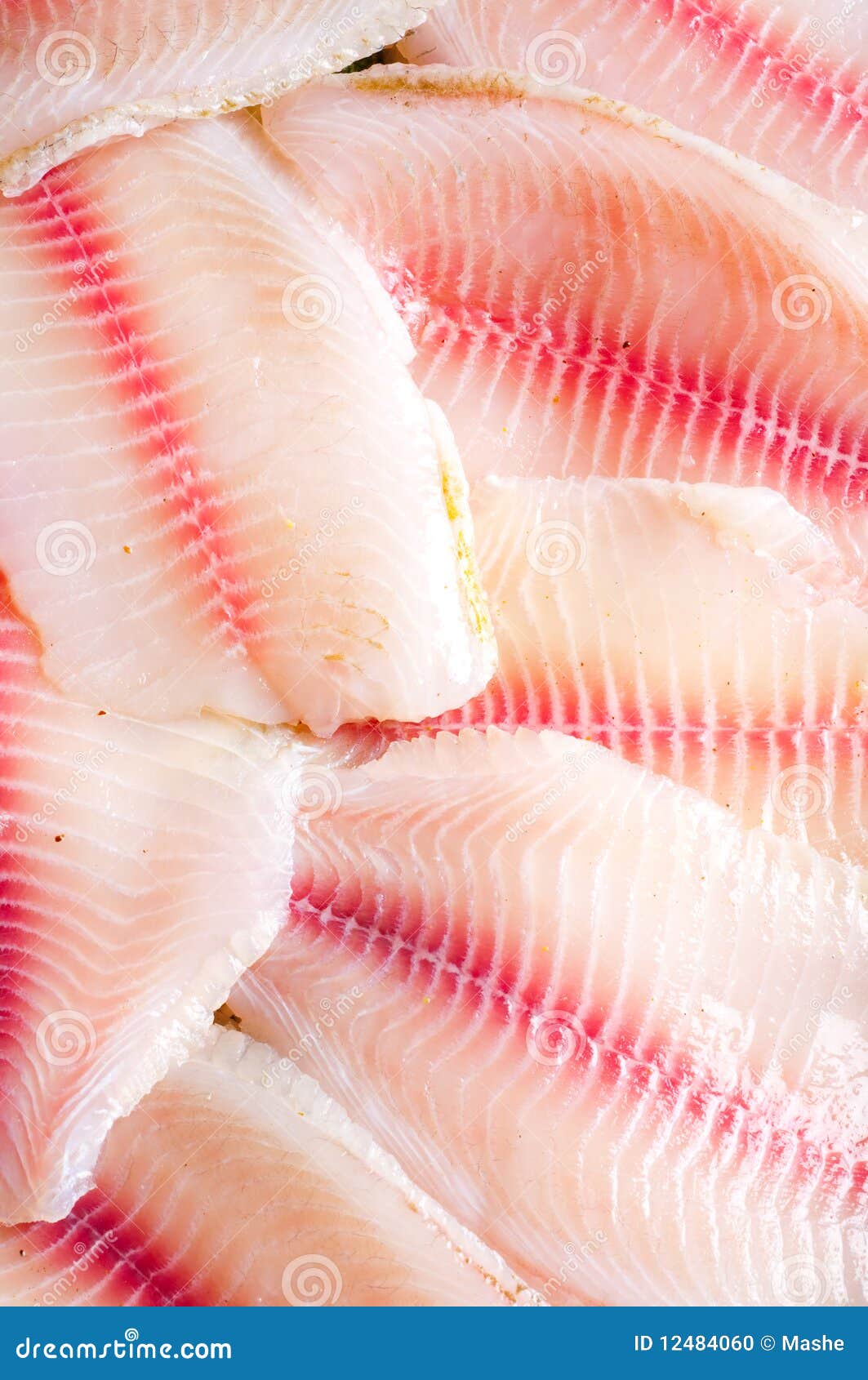 Fish fillet stock photo. Image of healthy, fresh, fish - 12484060