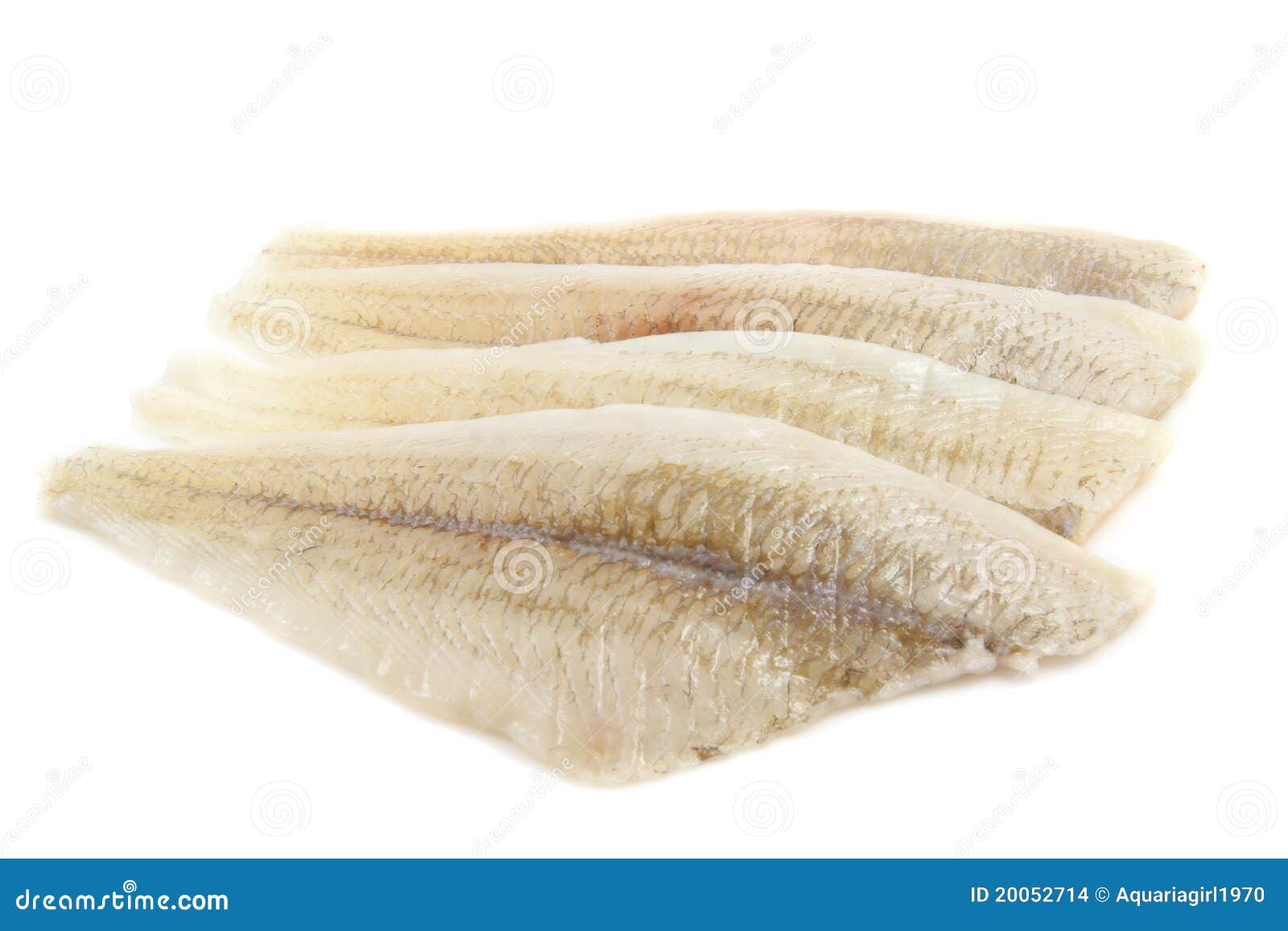 Fish fillet stock photo. Image of fillet, fish, fresh - 20052714