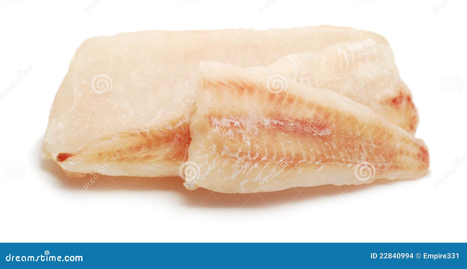 Fish fillet stock photo. Image of frozen, food, fillets - 22840994