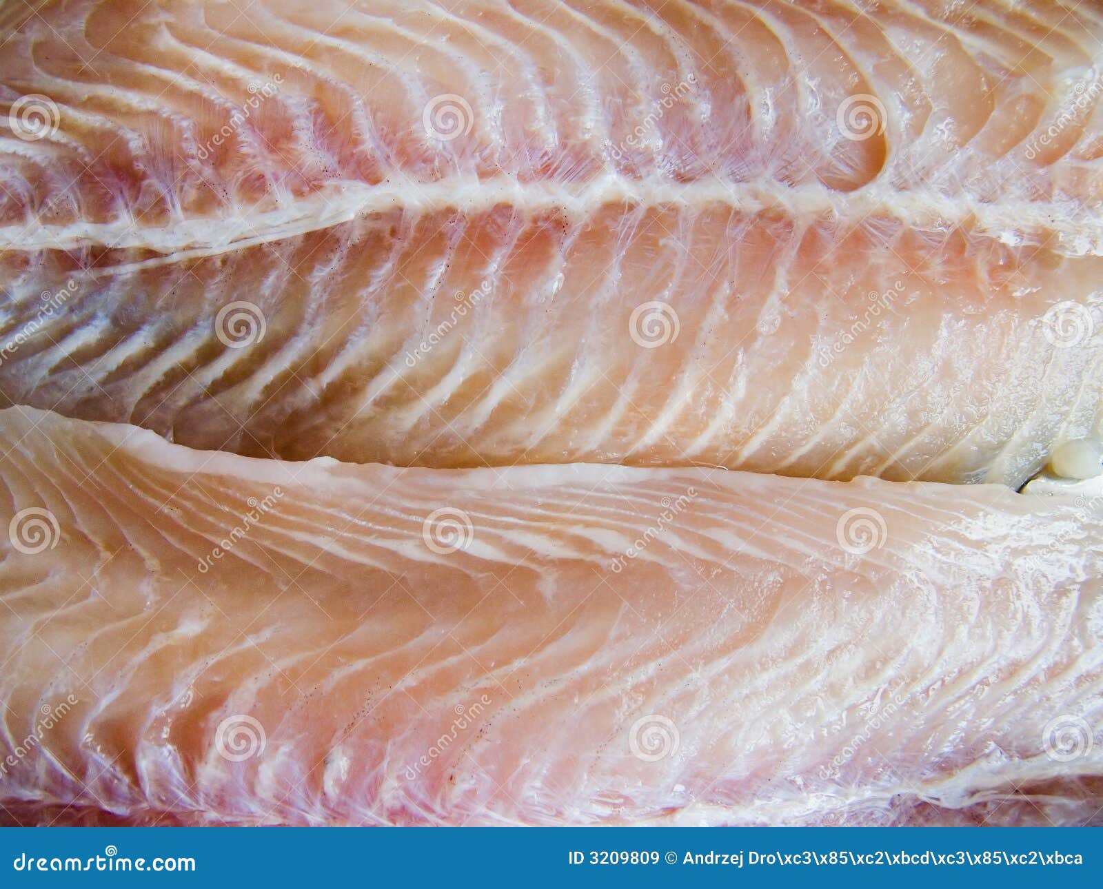 Fish fillet stock image. Image of fillet, close, cuisine - 3209809