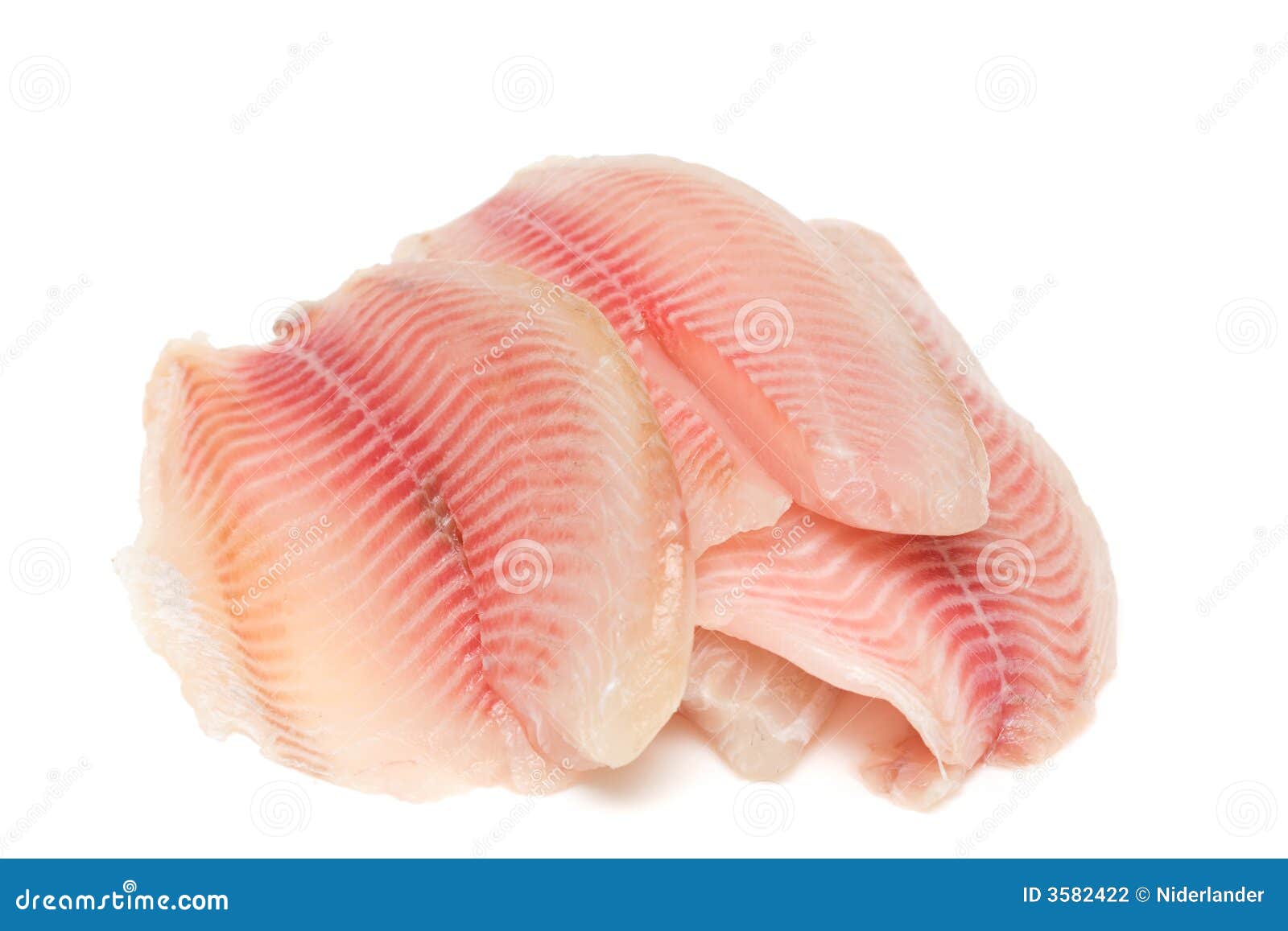 Fish fillet stock photo. Image of eating, fishing, food - 3582422