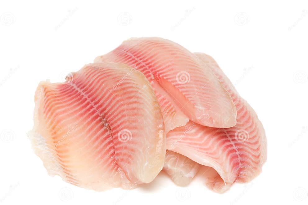 Fish fillet stock photo. Image of eating, fishing, food - 3582422