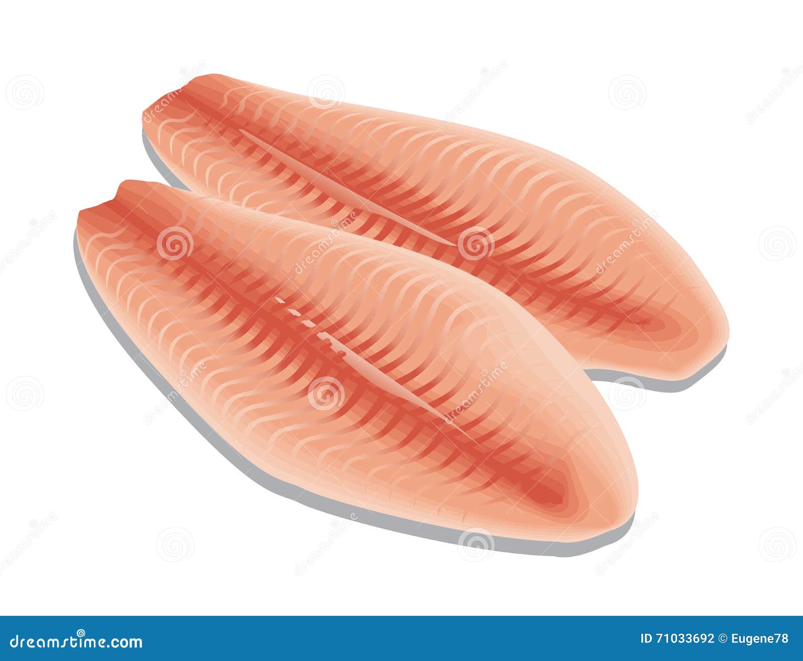 Fish fillet illustration stock vector. Illustration of unhealthy - 71033692