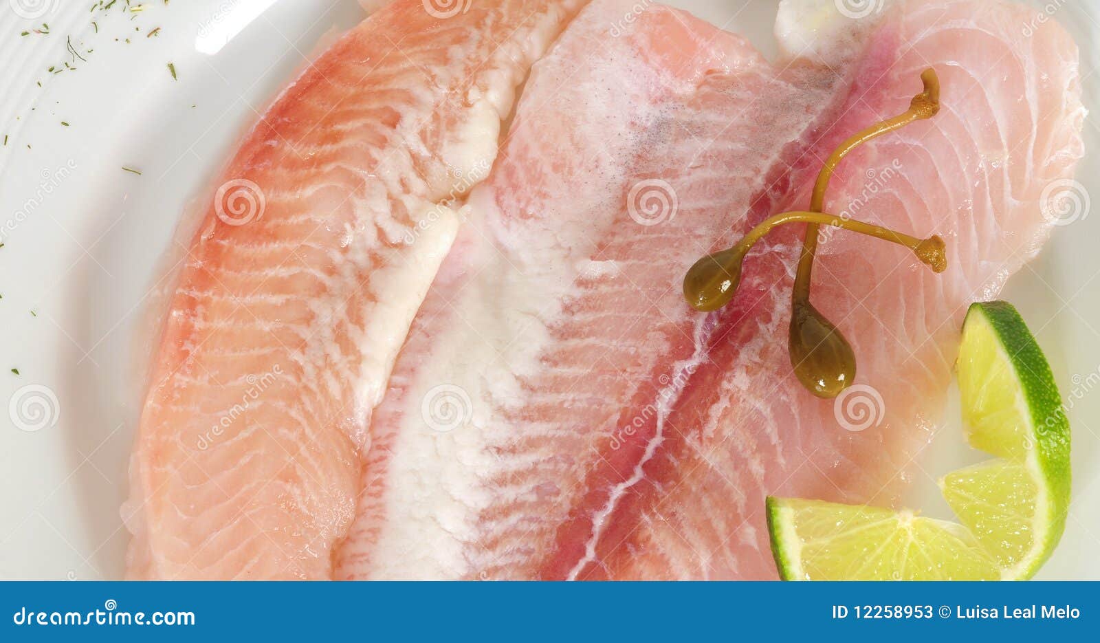 Fish fillet. Isolated stock image. Image of fatty, seafood - 12258953