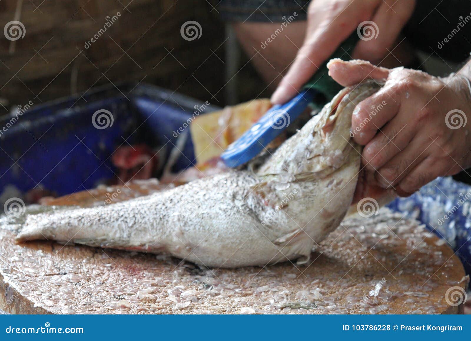 Fish filleting . stock photo. Image of shef, filleting - 103786228