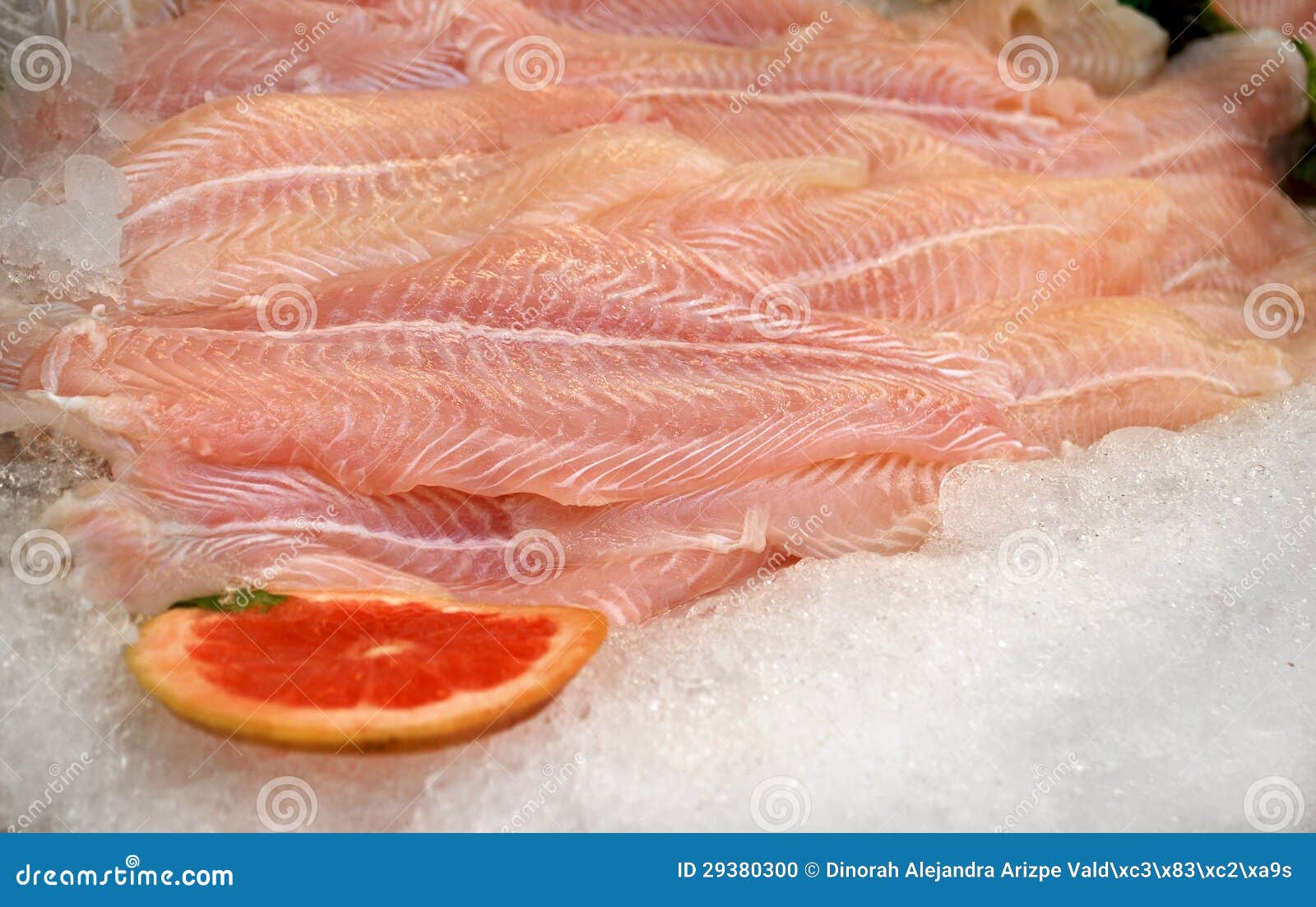 Fish fillets stock photo. Image of cold, fishes, cook - 29380300