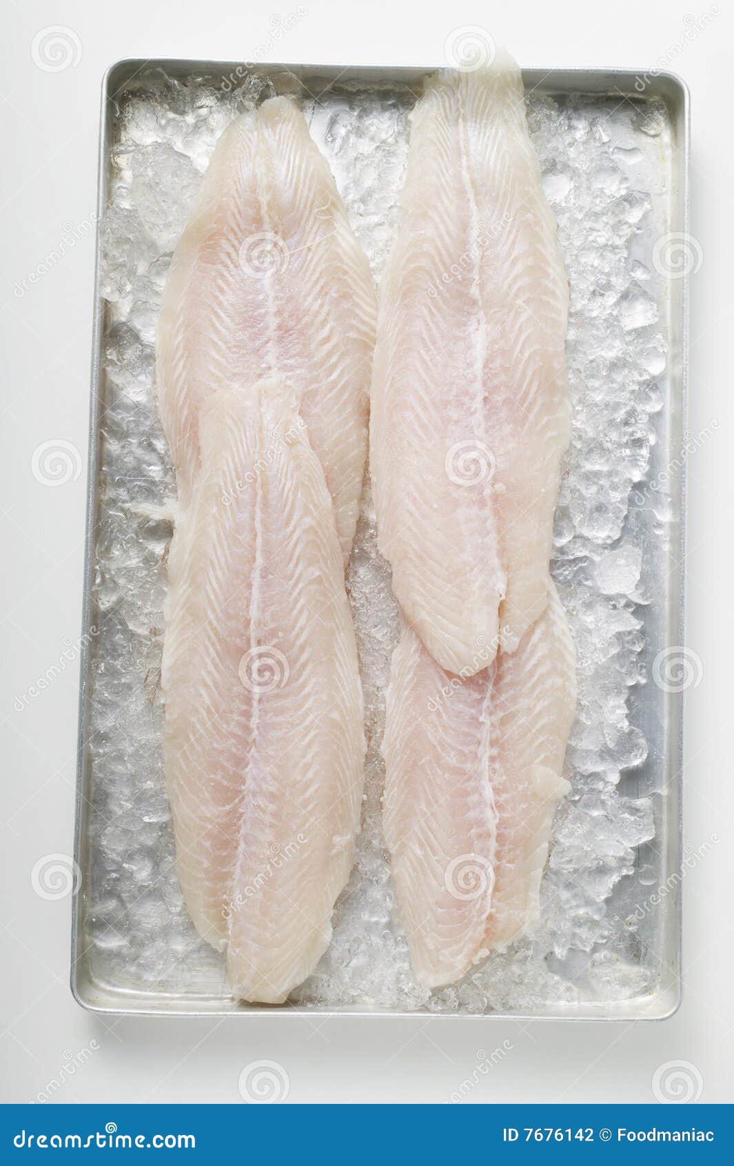 Fish fillets stock photo. Image of bird, fillets, ingredients - 7676142