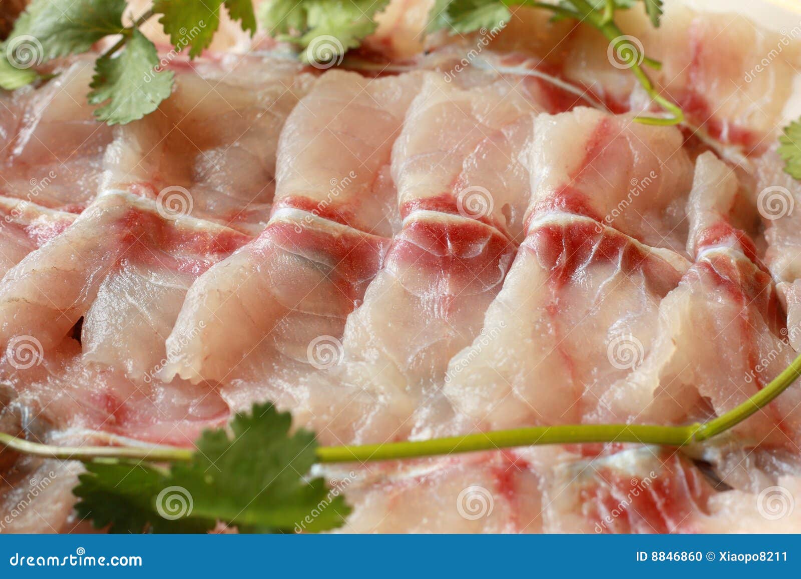 Fish fillets stock photo. Image of omega, fish, flesh - 8846860