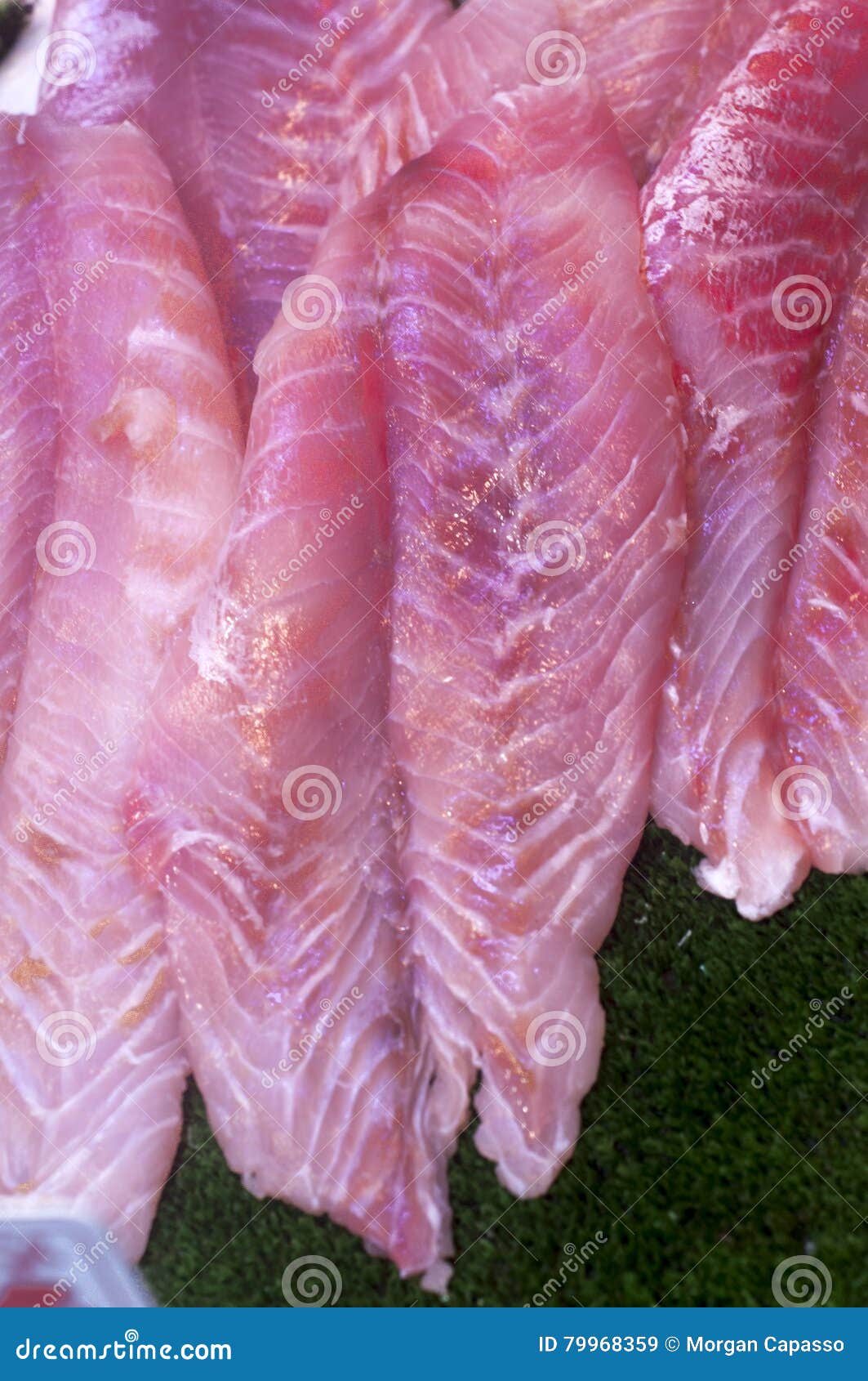 Fish fillets stock image. Image of heap, display, seafood - 79968359