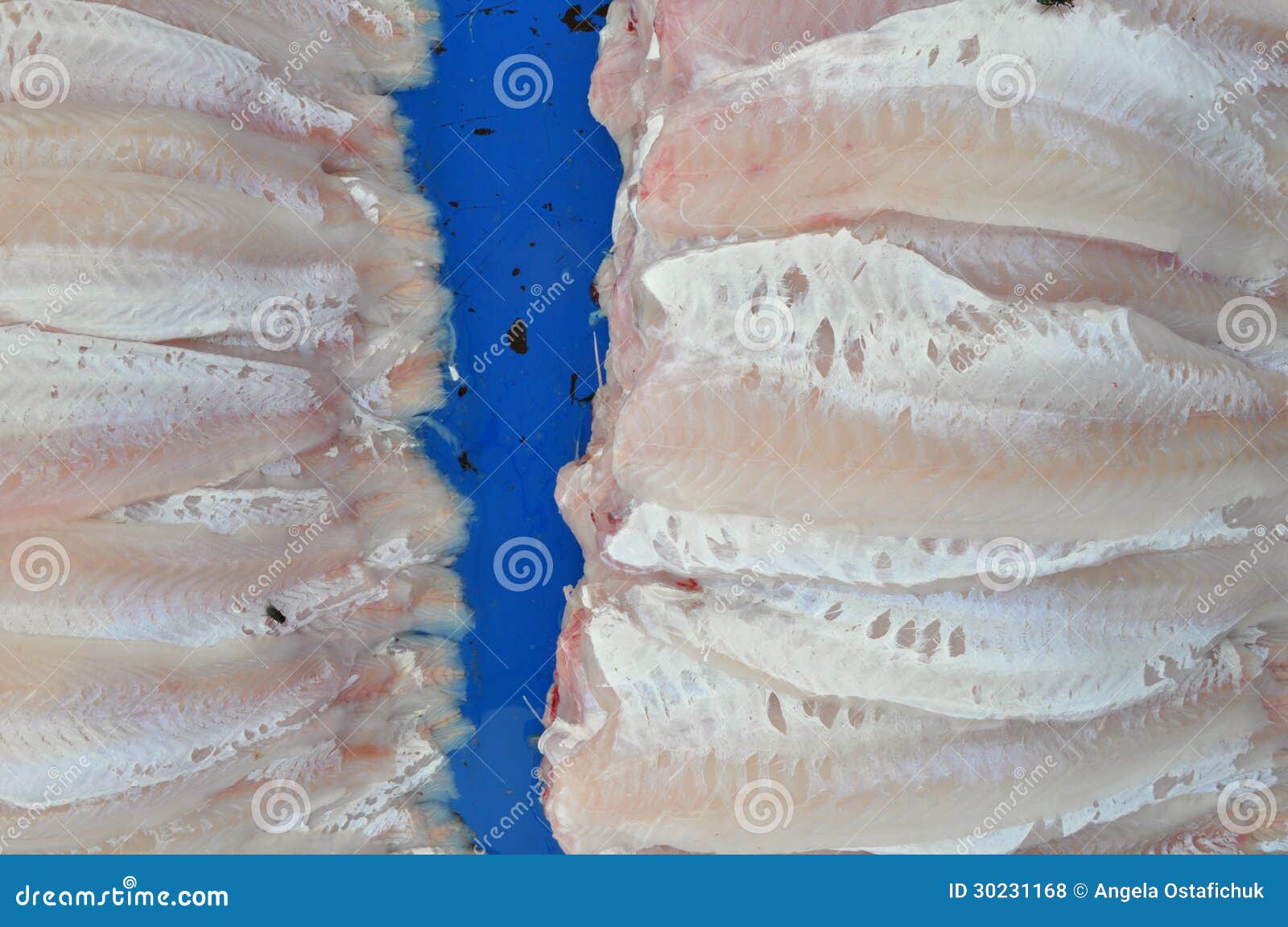 Fish Fillets. stock photo. Image of food, healthy, ingredient - 30231168