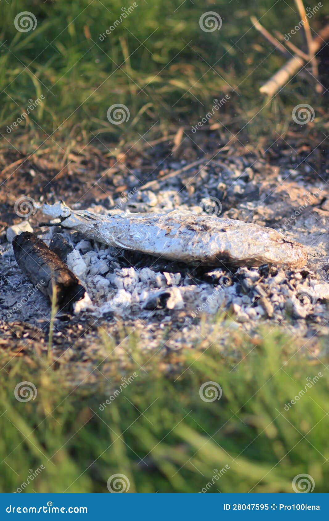 Fish on the fire stock image. Image of fire, bake, grass - 28047595