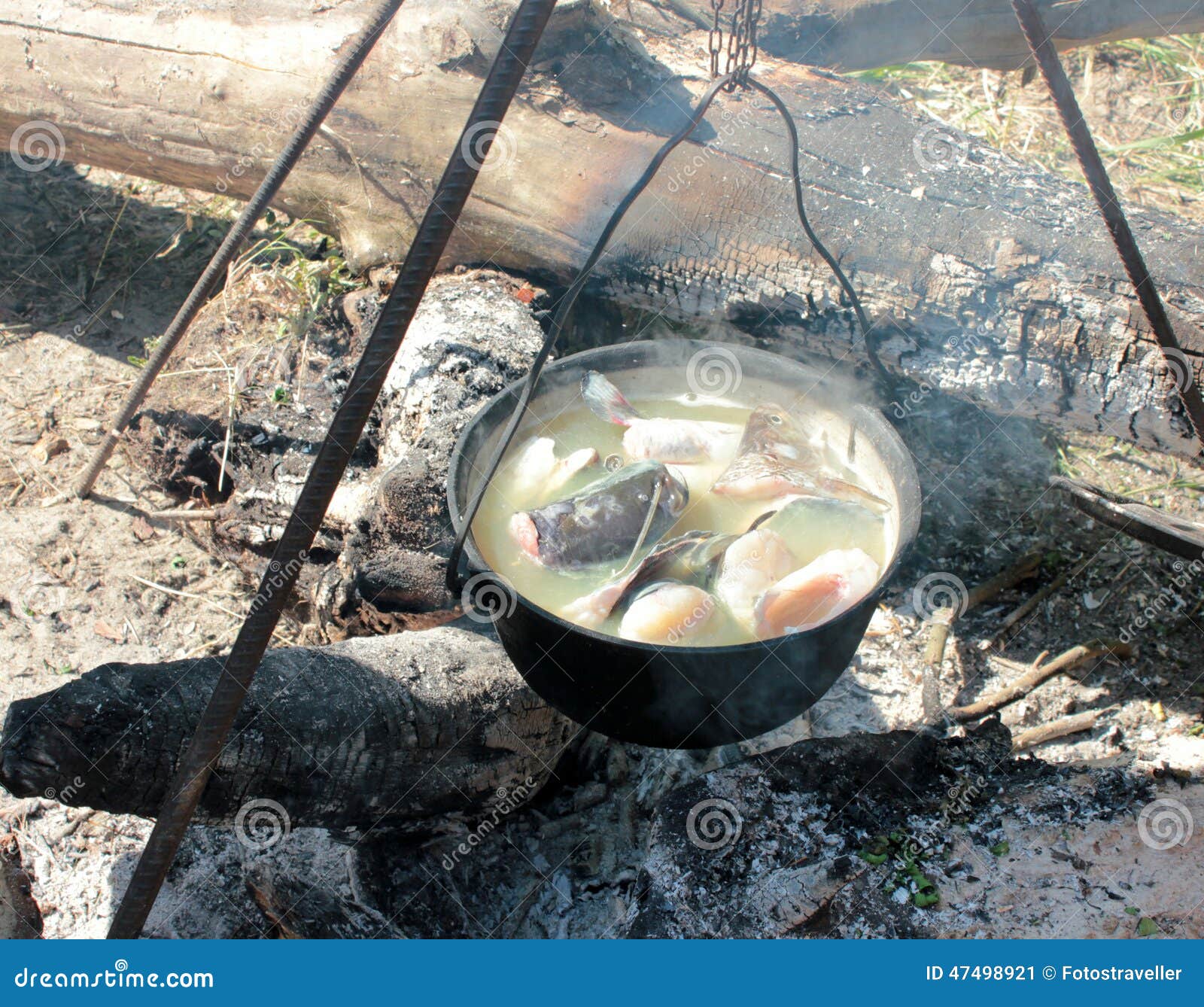 Fish on the fire stock image. Image of equipment, dinner - 47498921