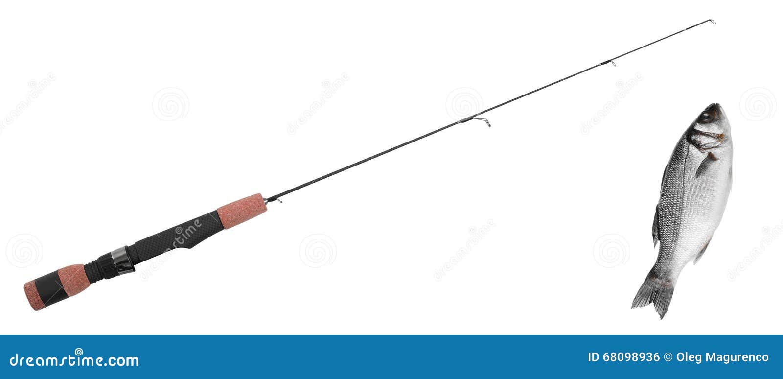Fish on fishing-rod stock photo. Image of fresh, animal - 68098936