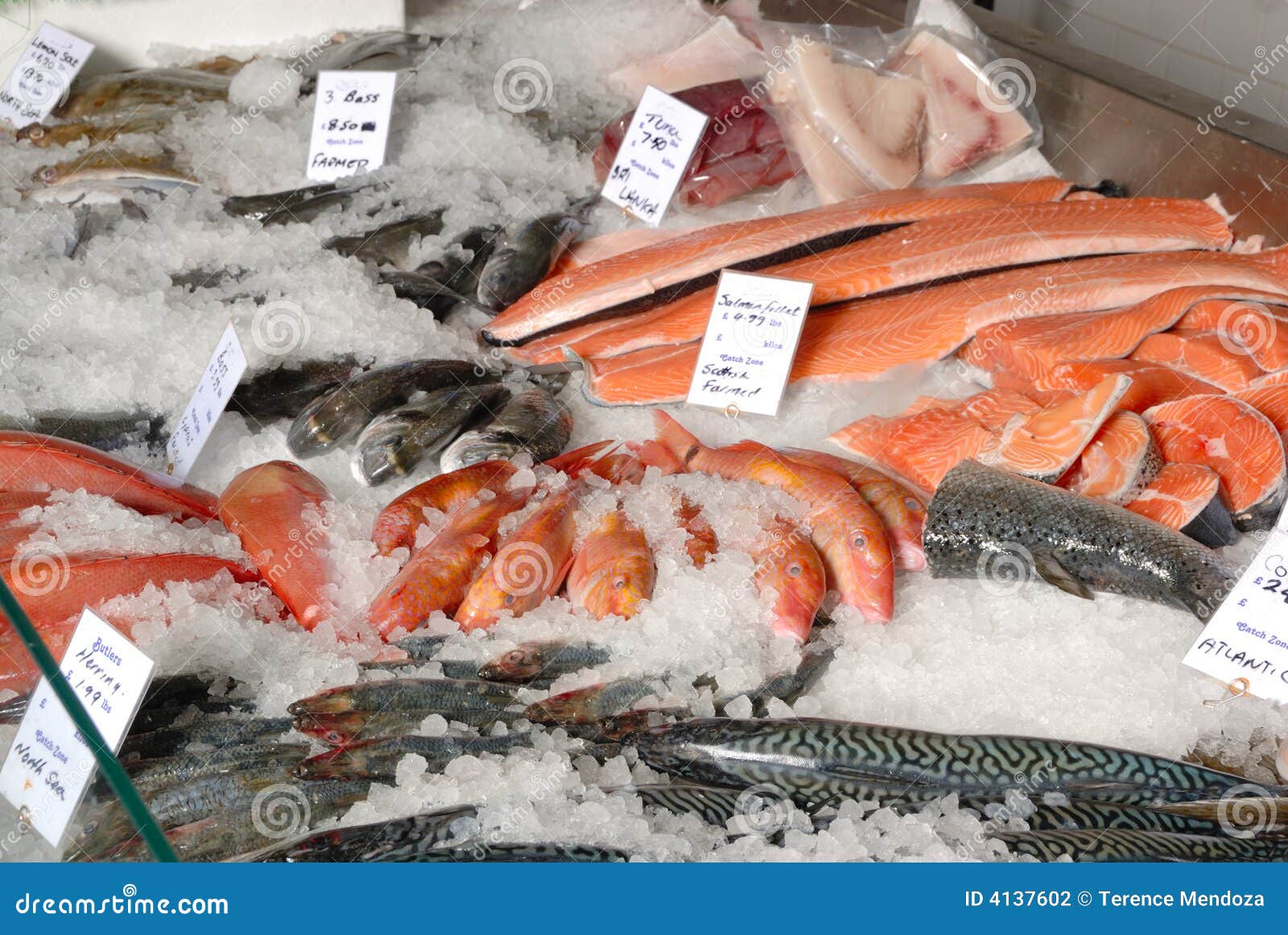 Fish on fishmonger s slab stock photo. Image of fresh - 4137602