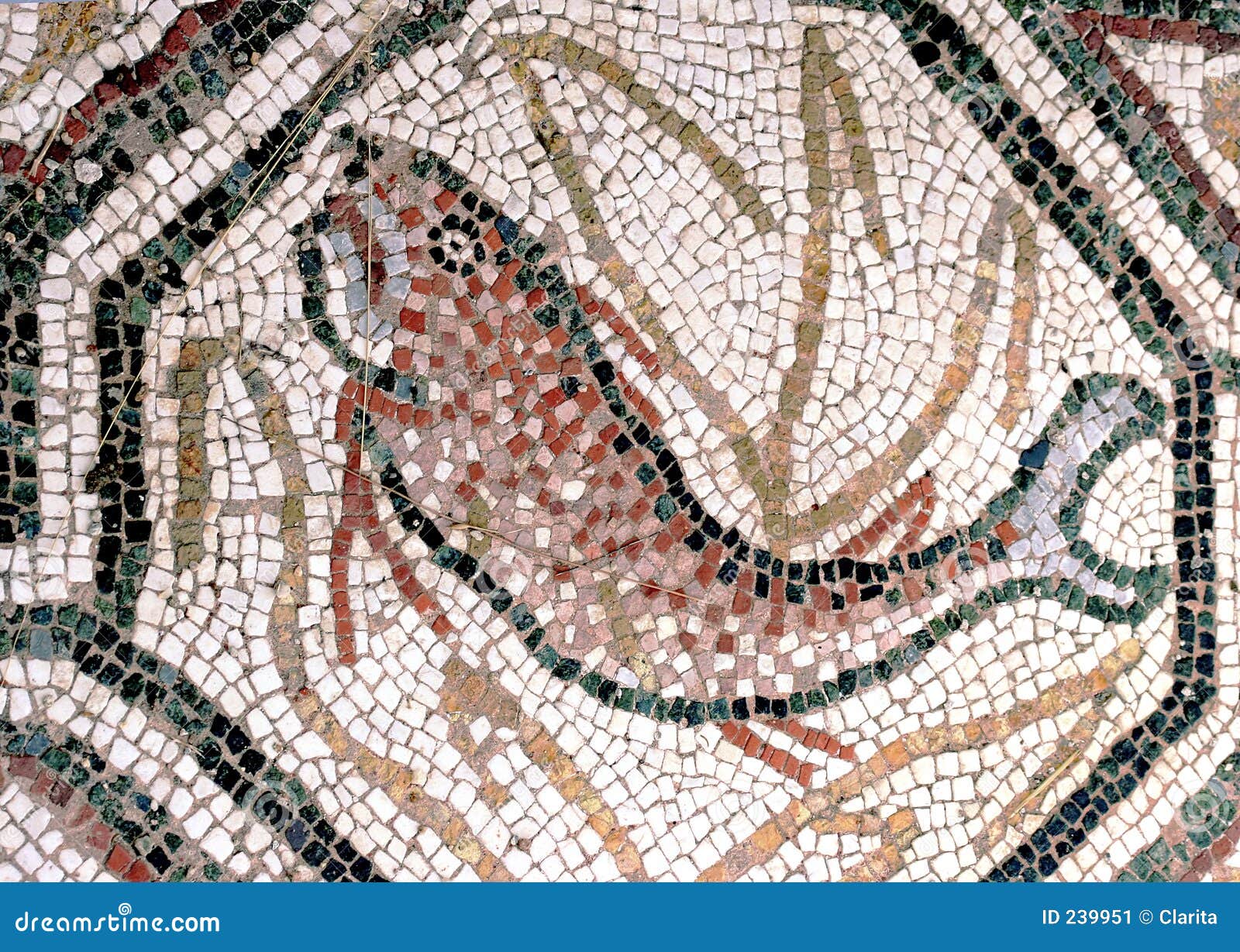 Fish - Floor mosaics stock image. Image of artistic, graphic - 239951