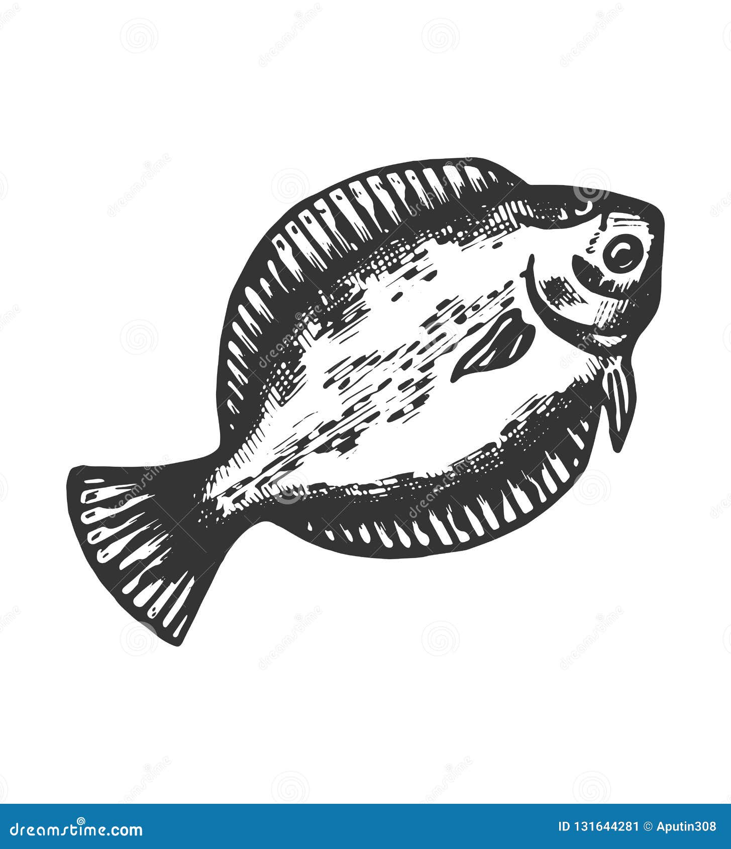 Sole Fish Clipart