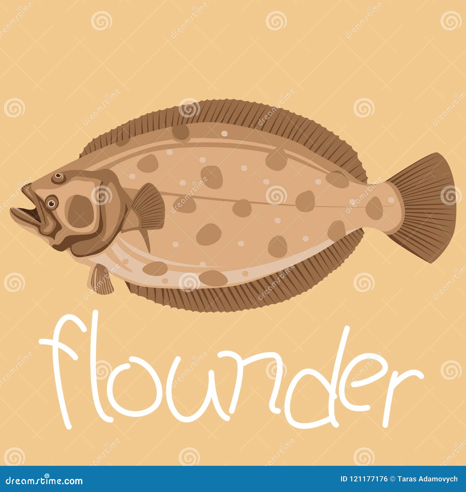 Fish Flounder Vector Illustration Flat Style Front Stock Vector ...
