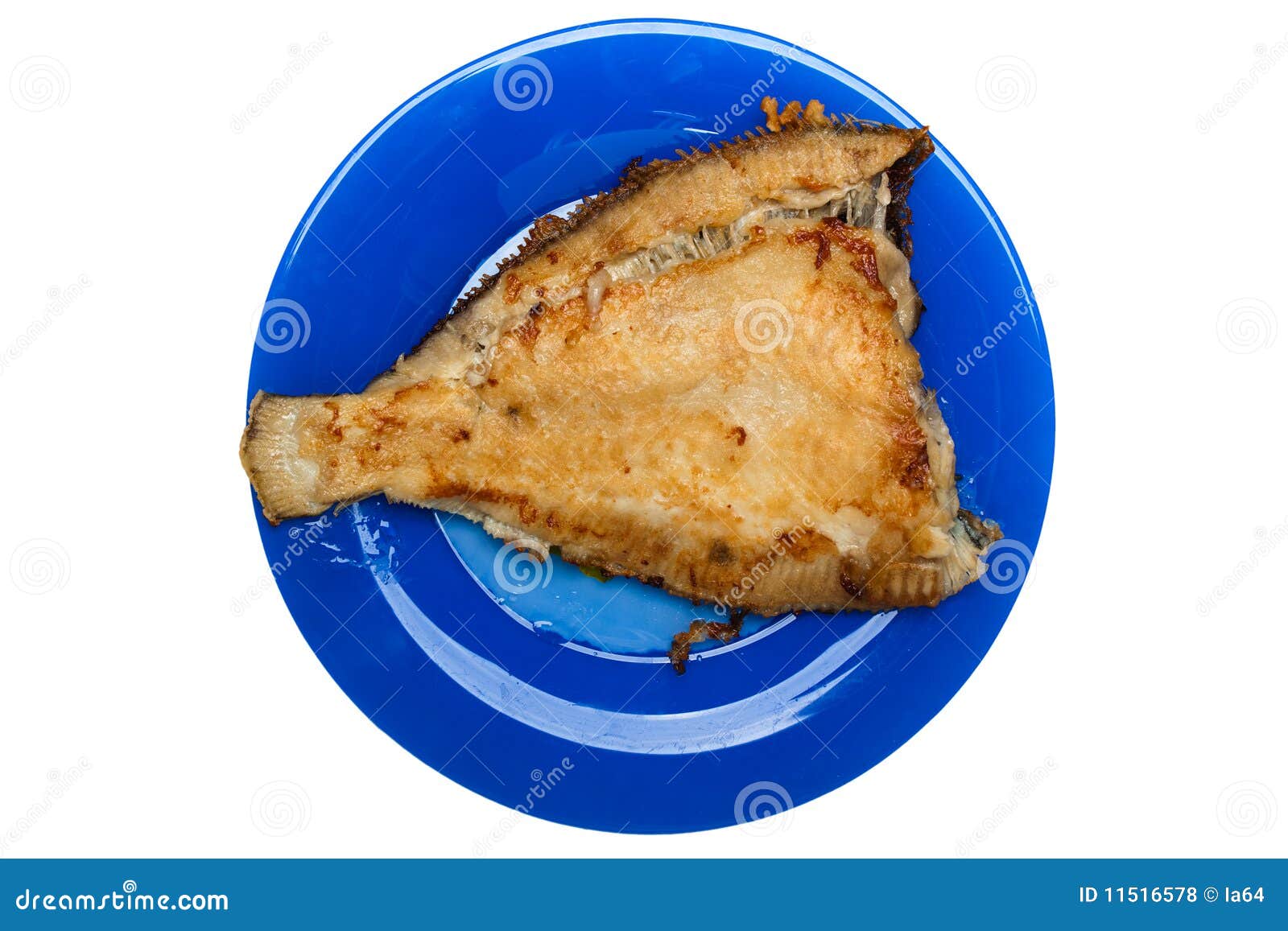 Fish food stock photo. Image of eating, gourmet, kitchen - 11516578