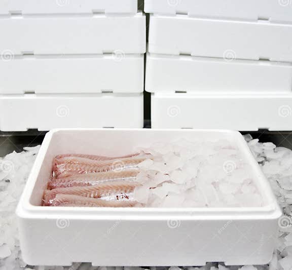 Fish food in box stock image. Image of manufacture, industrial - 11402129