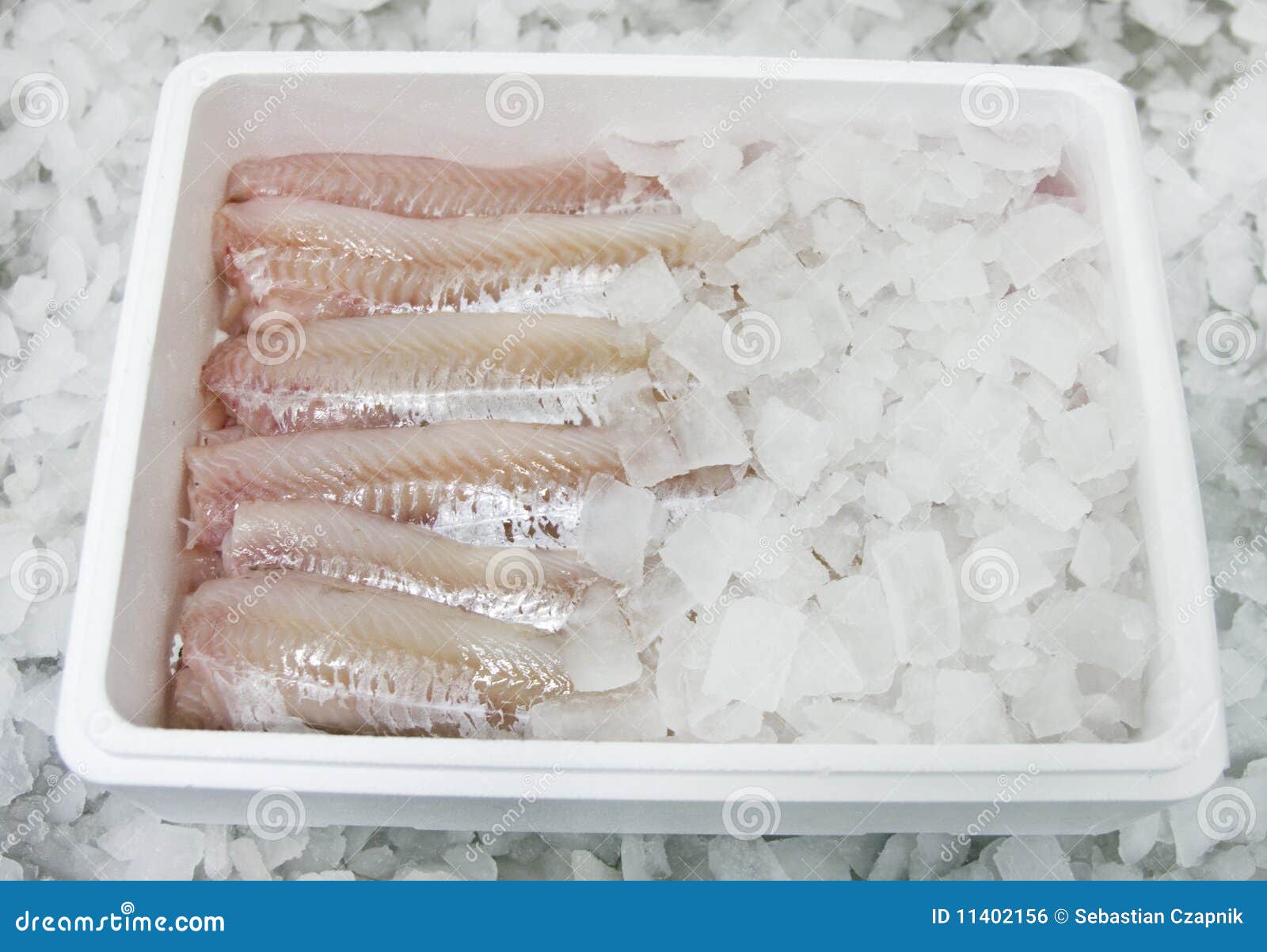 Fish food in box stock photo. Image of store, container - 11402156