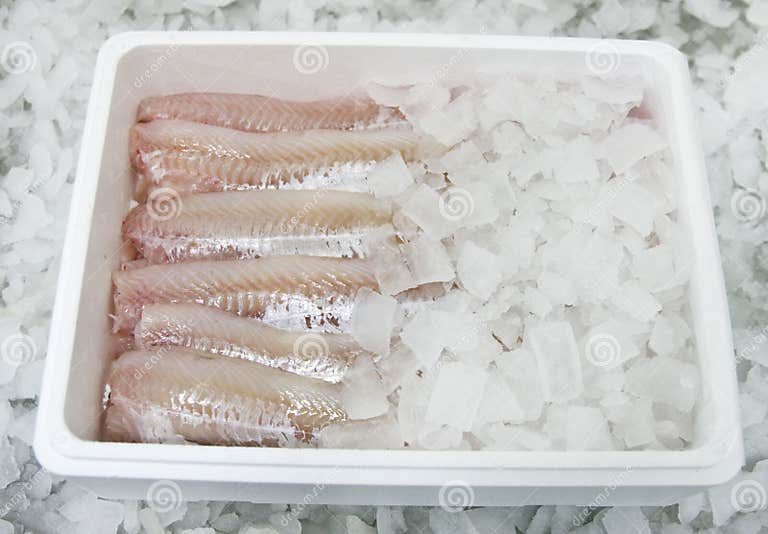Fish food in box stock photo. Image of store, container - 11402156