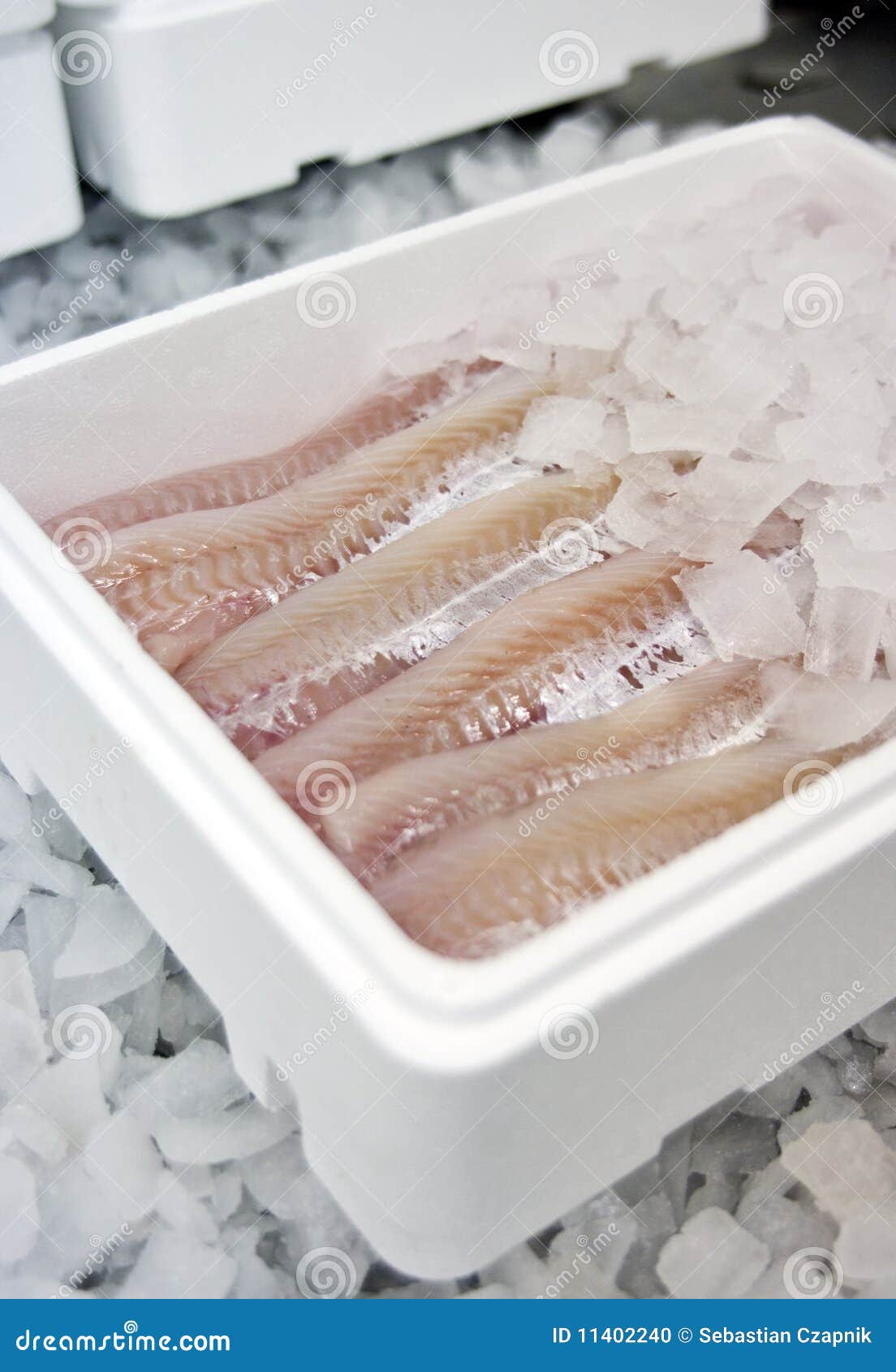 Fish food in box stock photo. Image of healthy, iced - 11402240