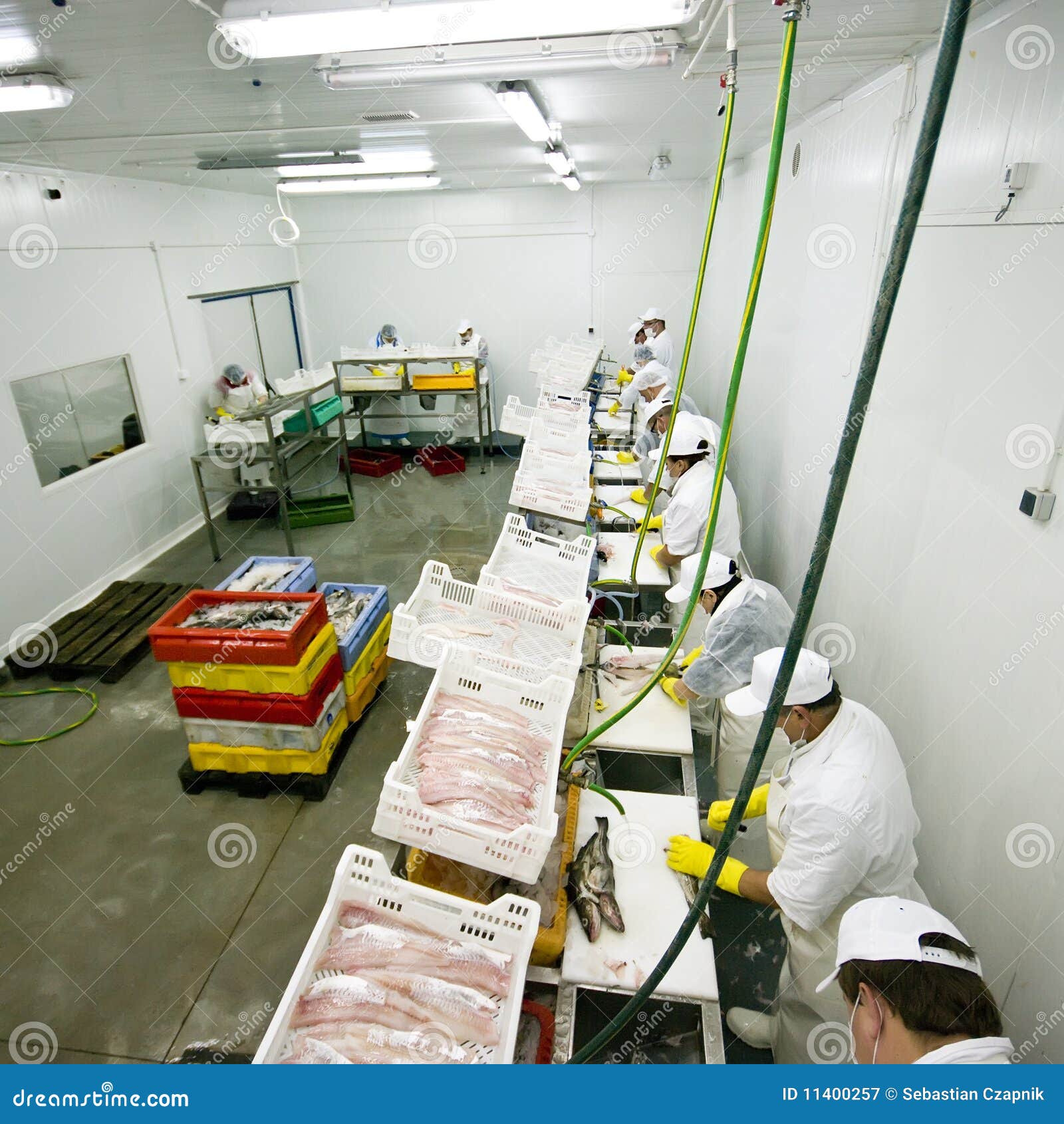 Fish food factory stock image. Image of workers, factory - 11400257