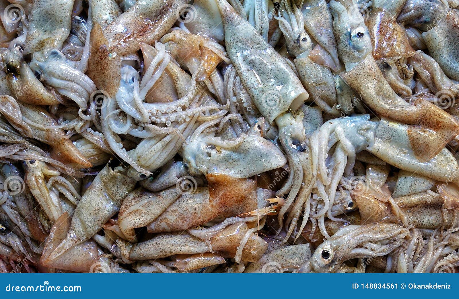 Fish Food in a Fish Market Stand Stock Image - Image of bazaar ...