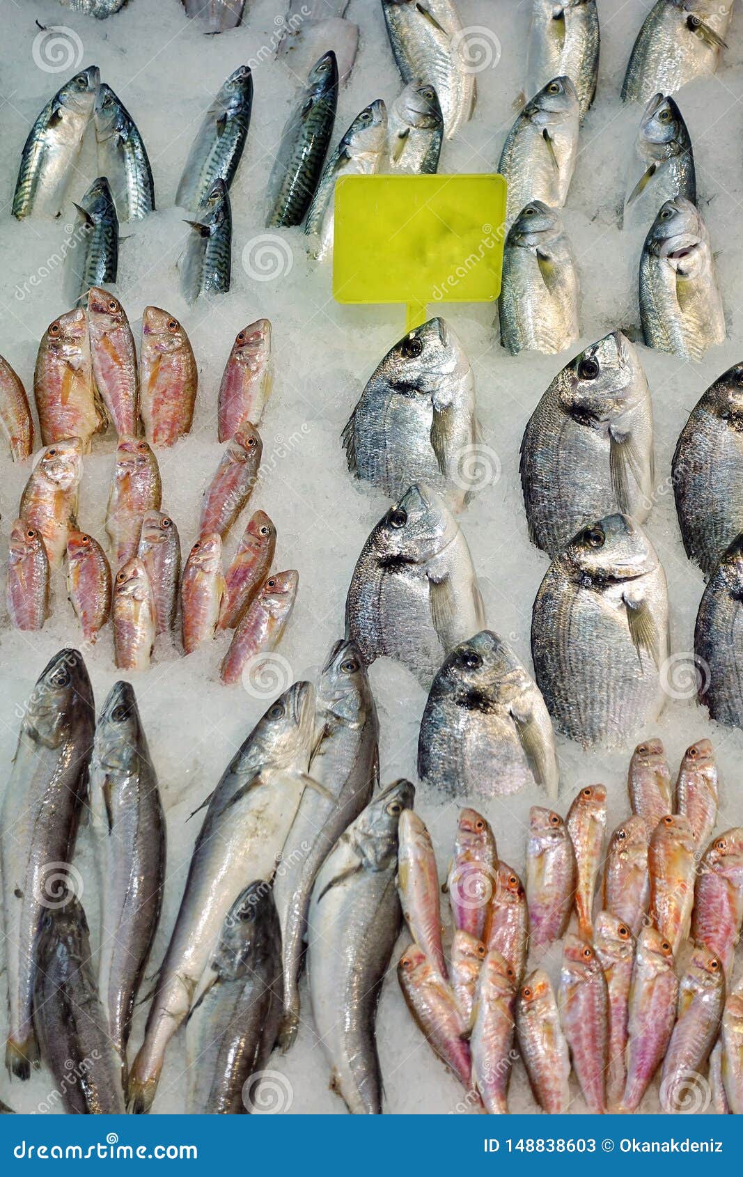 Fish Food in a Fish Market Stand Stock Image - Image of market, pile ...