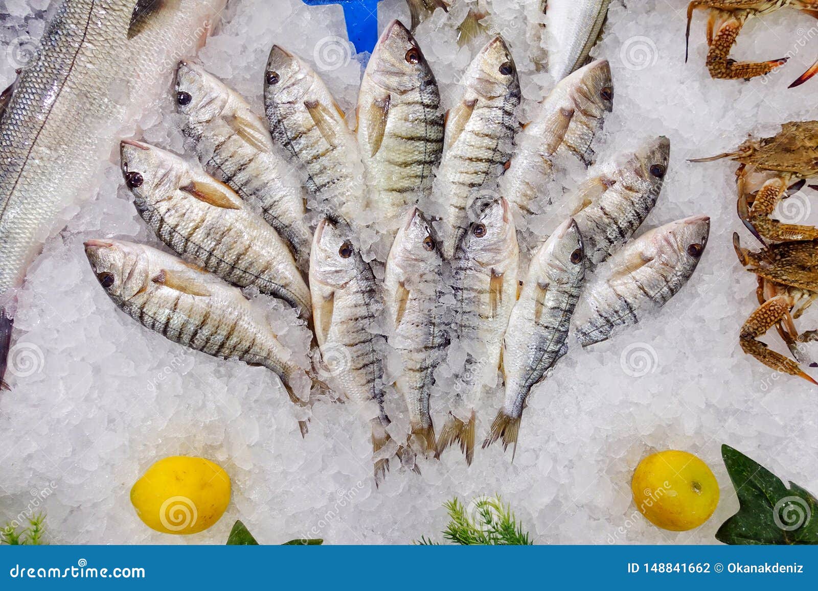 Fish Food in a Fish Market Stand Stock Photo - Image of meal, healthy ...