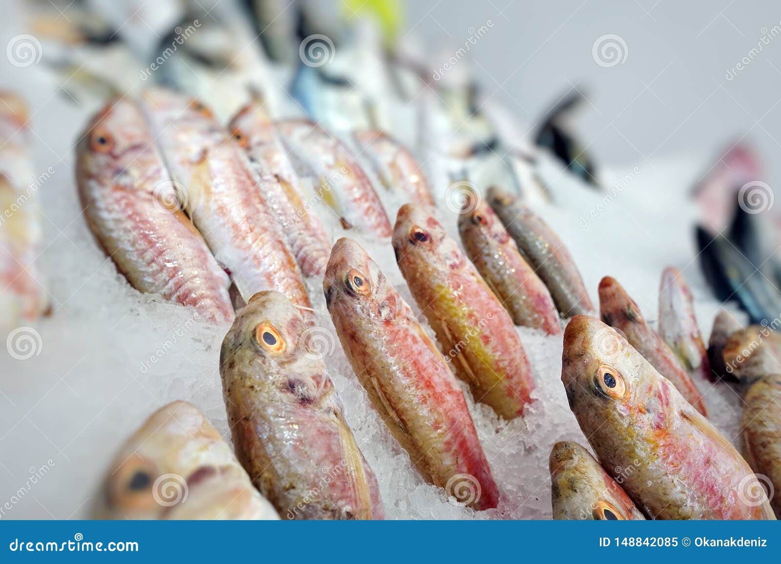Fish Food in a Fish Market Stand Stock Image - Image of industry, catch ...