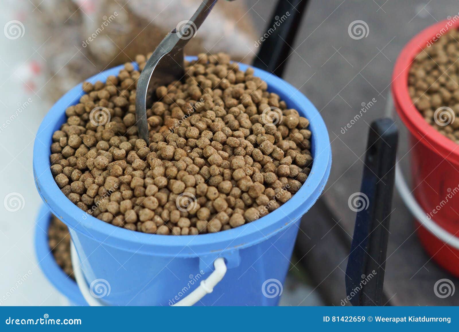Fish Food in Plastic Baskets Stock Image - Image of closeup, nature ...