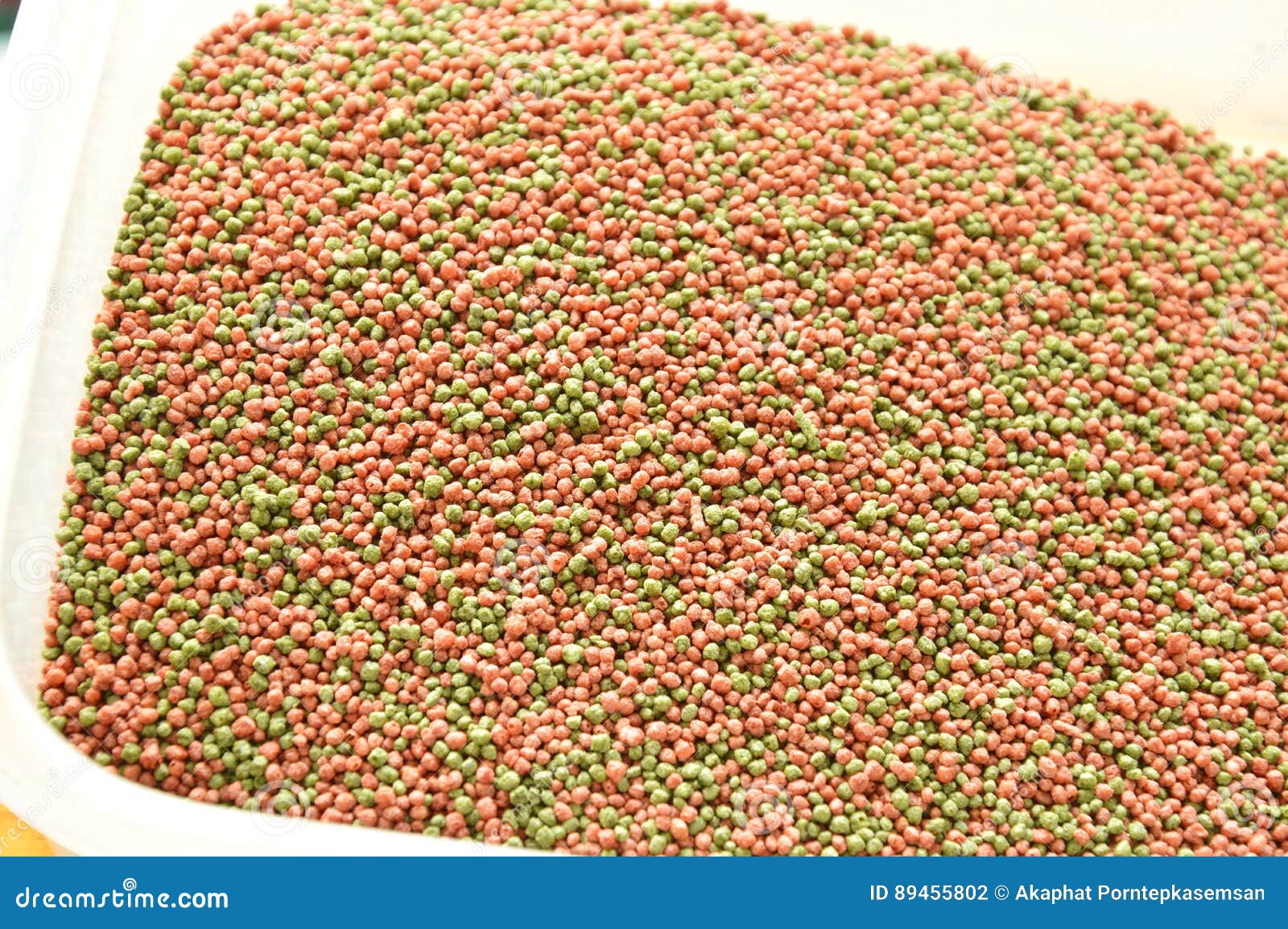 Fish Food in Plastic Box for Keeping Stock Photo - Image of shrimp ...