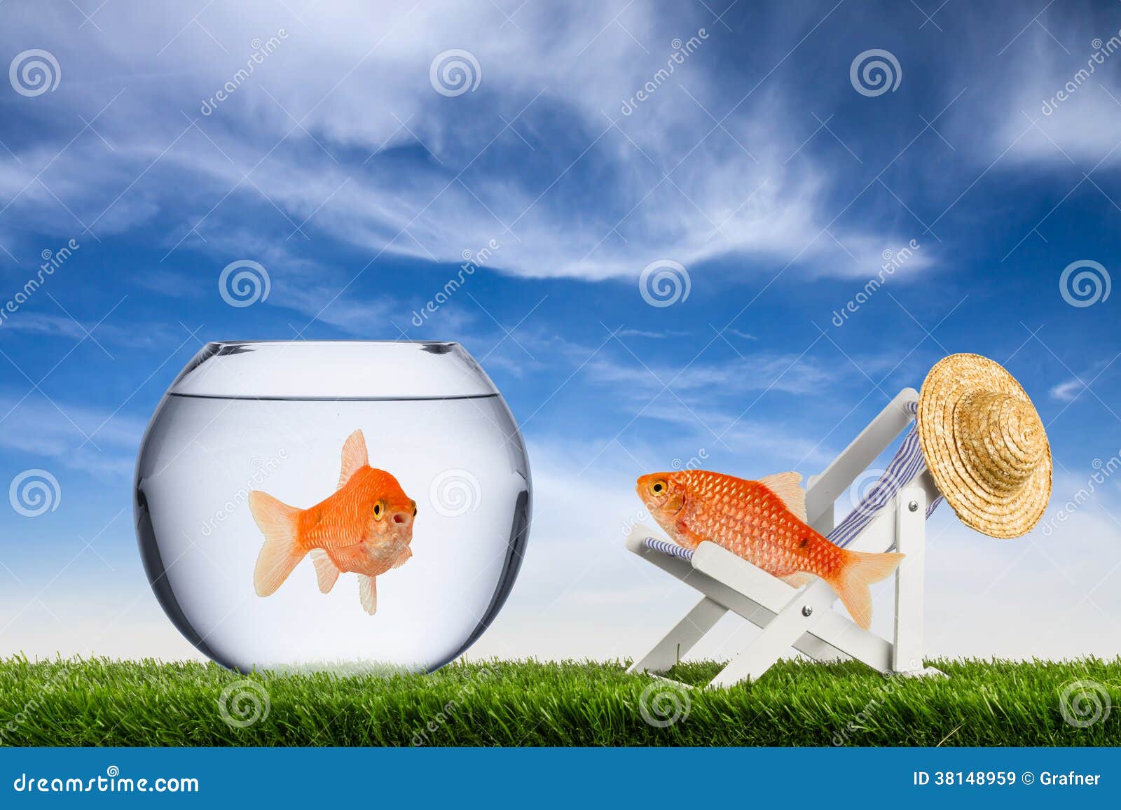 Fish freedom concept stock image. Image of chair, astounding - 38148959
