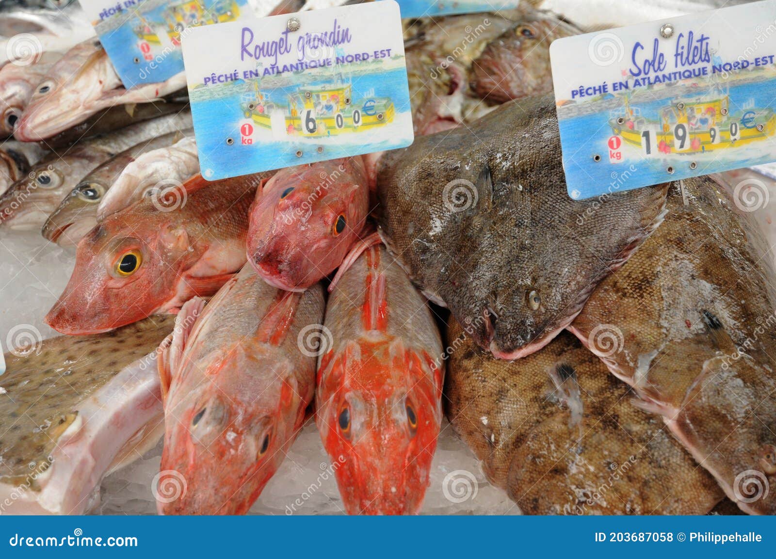 Stall of fish fish editorial stock photo. Image of fresh - 203687058