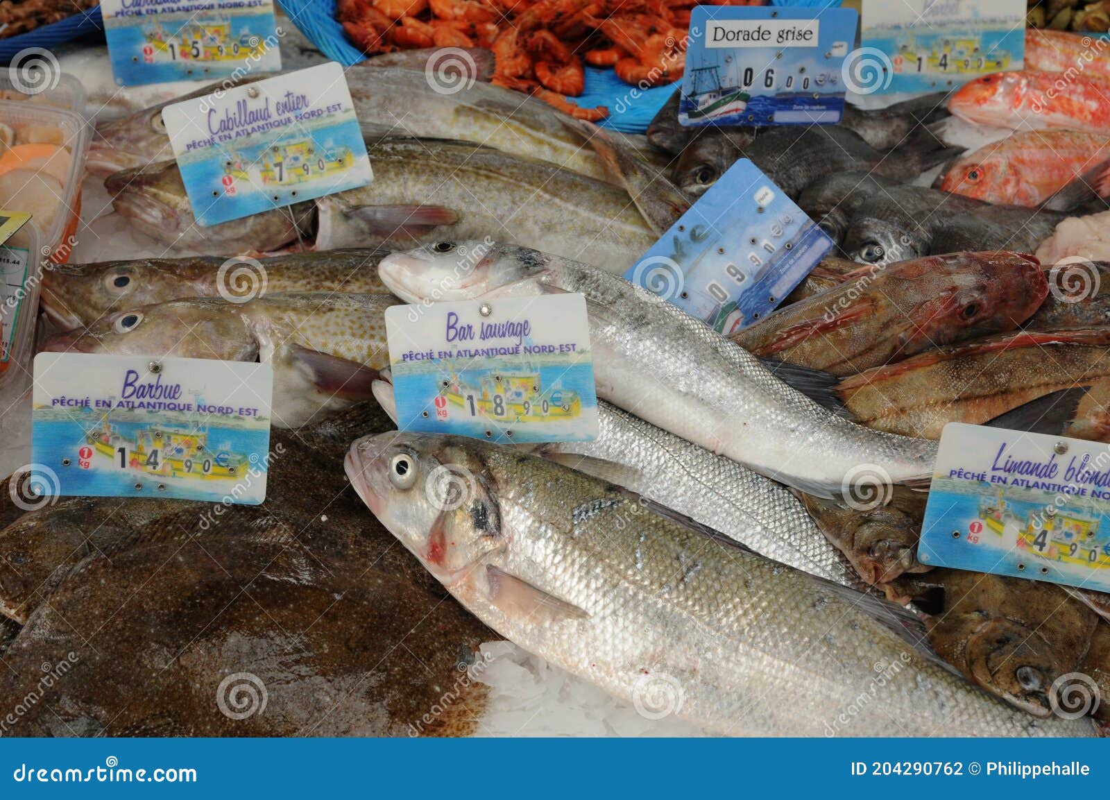 Stall of fish editorial photography. Image of health - 204290762