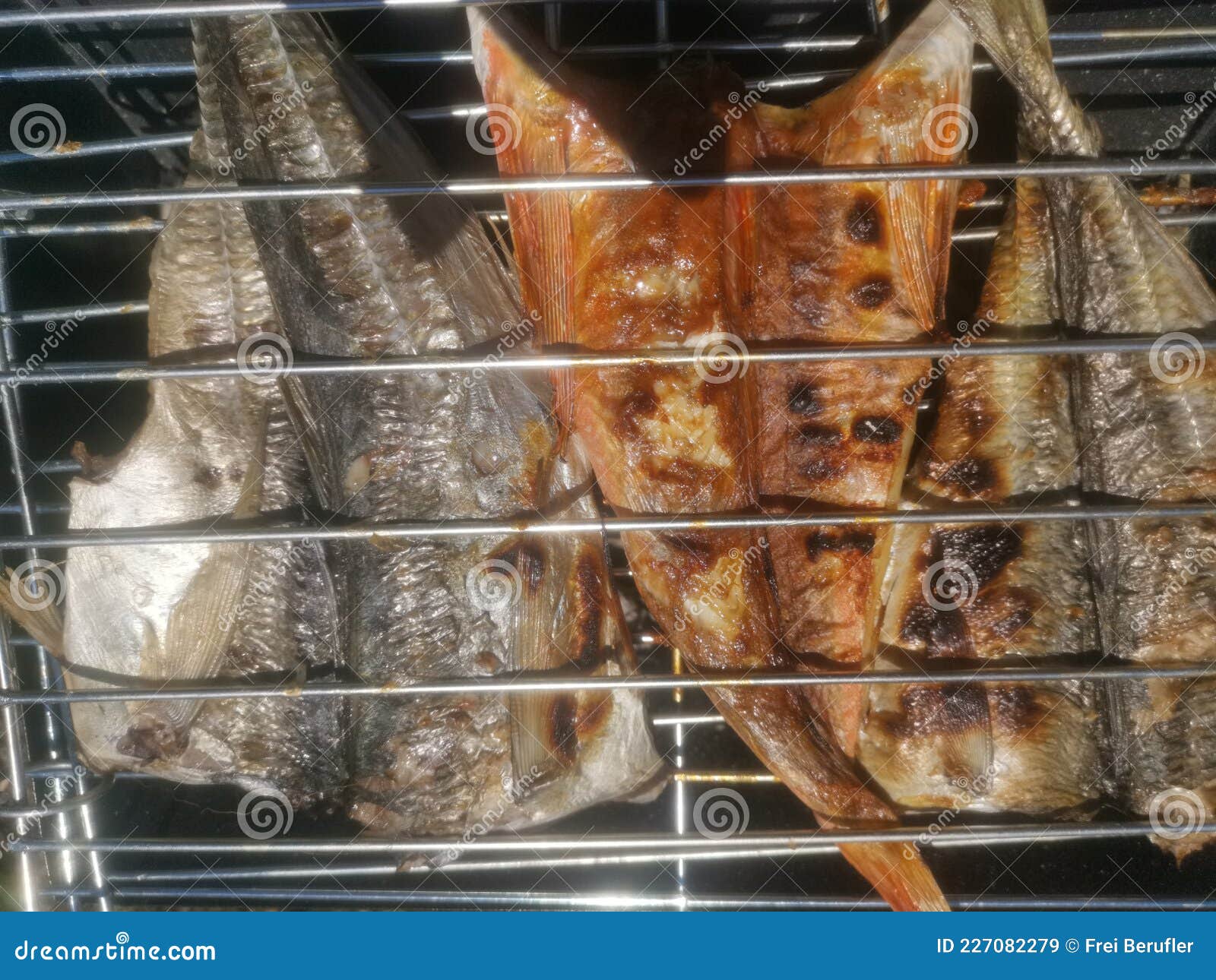 Fish from the Freshly Caught are almost Alive Stock Image - Image of ...