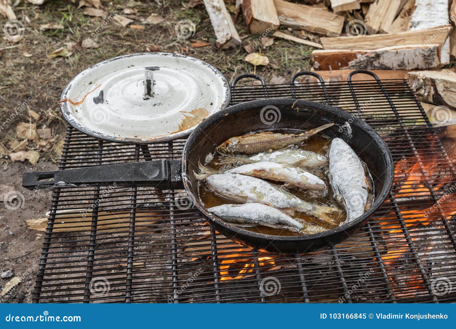 A fish stock image. Image of burn, firewood, prepare - 103166845